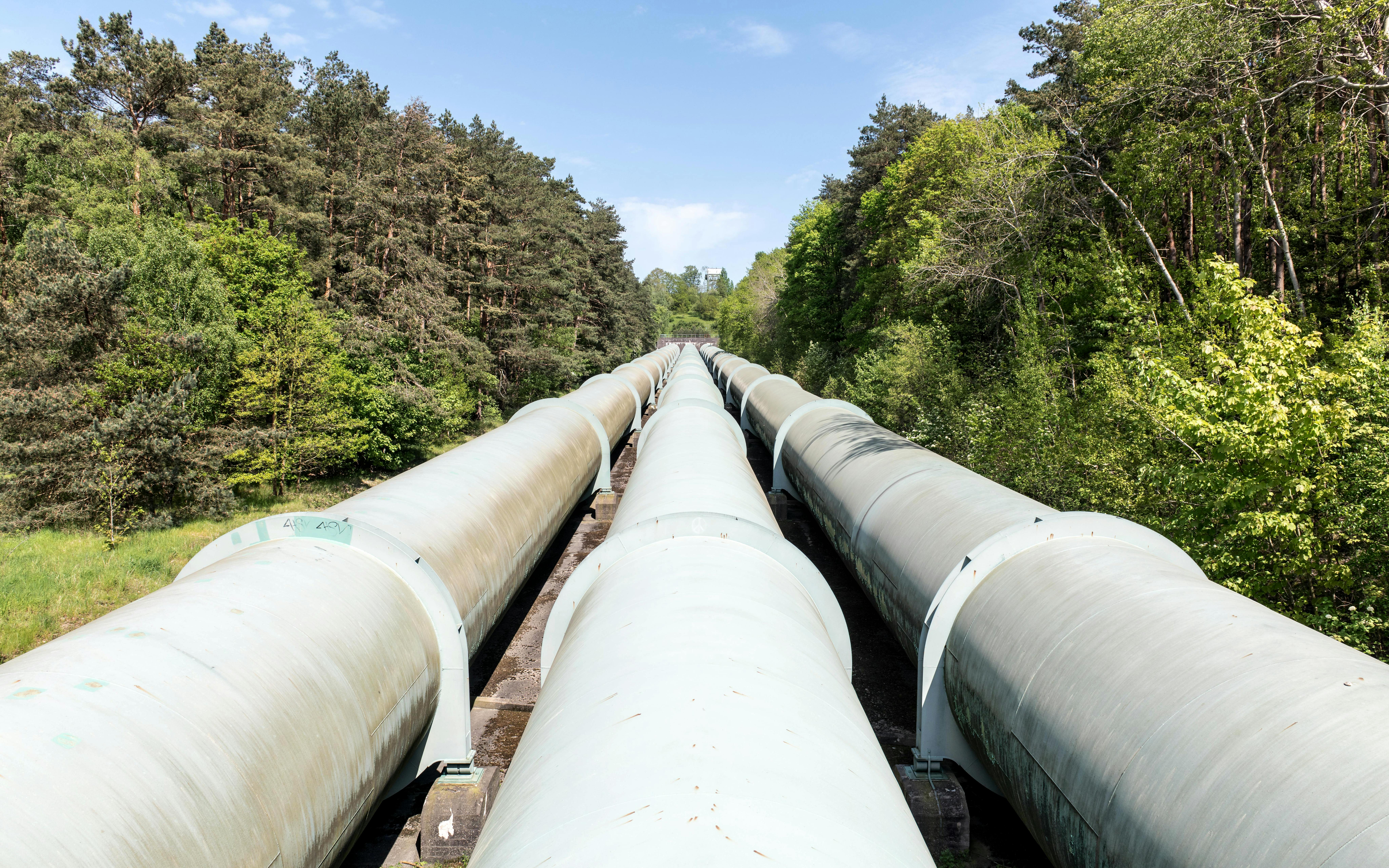 Iron Poles in a Forest · Free Stock Photo