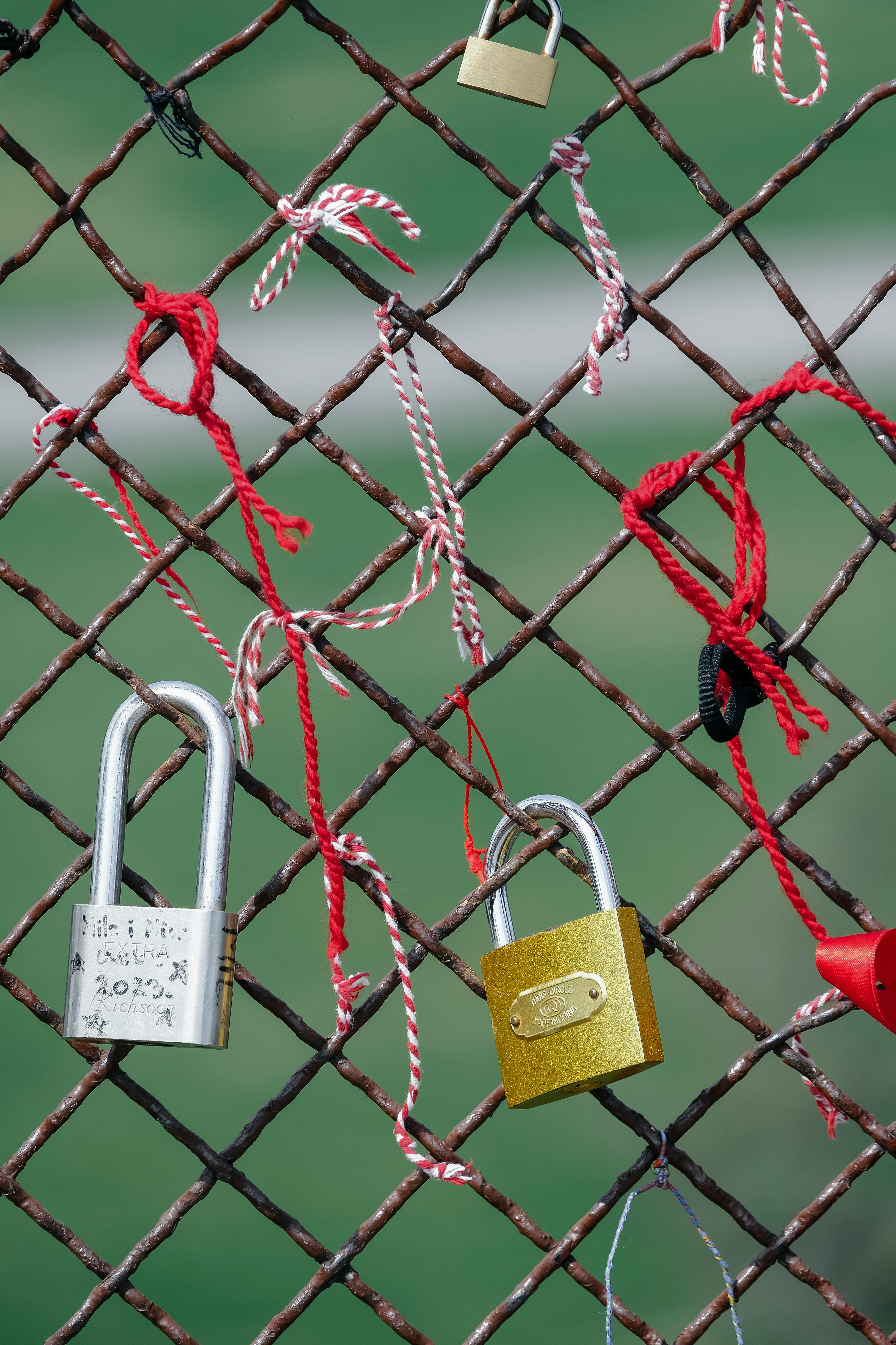 Green Chain-link Fence With Assorted-color Padlocks · Free Stock Photo