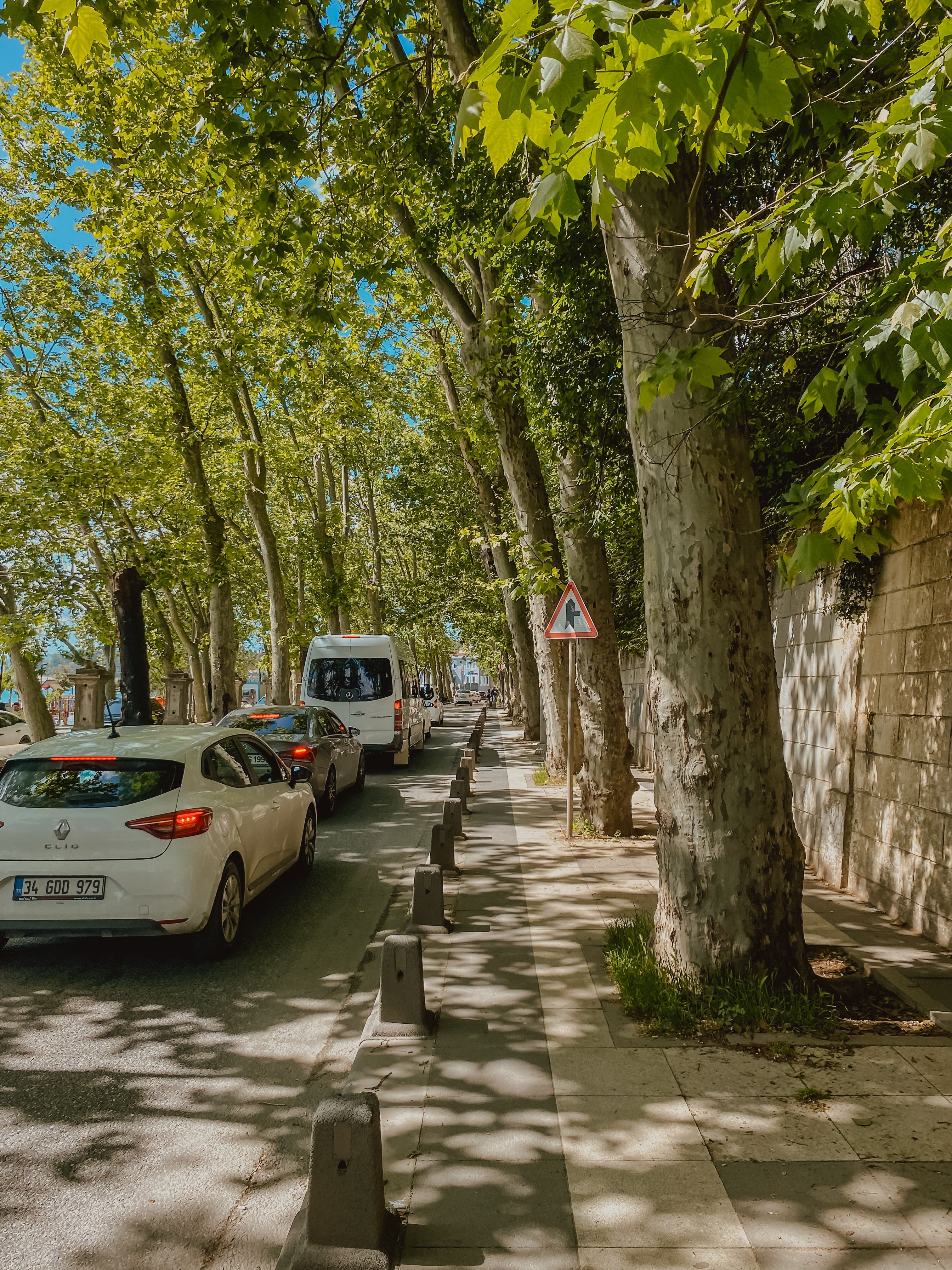 View of Cars on a Street under Green Trees · Free Stock Photo