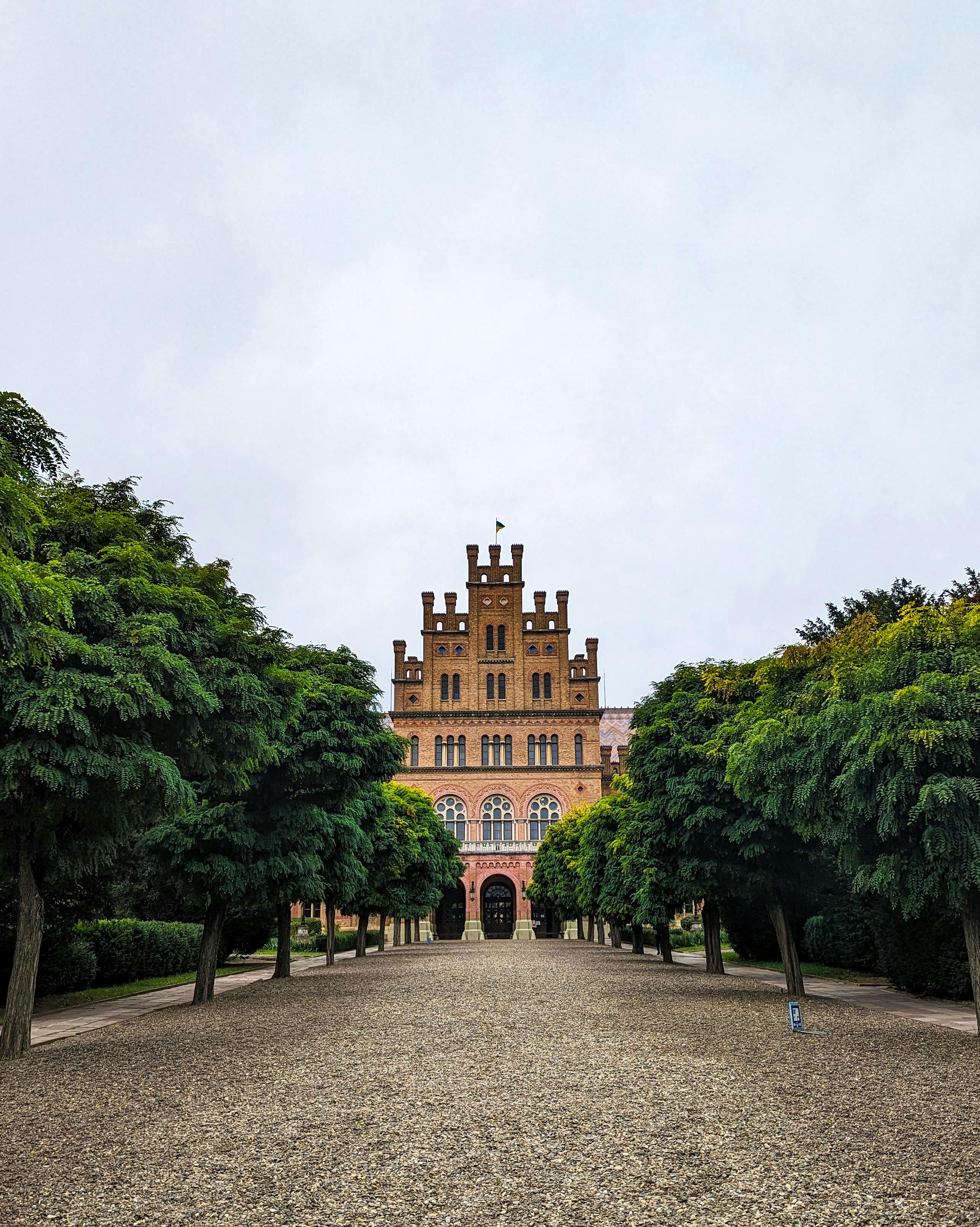 Foto profissional gratuita de ao ar livre, arquitetura, árvore, casa ...