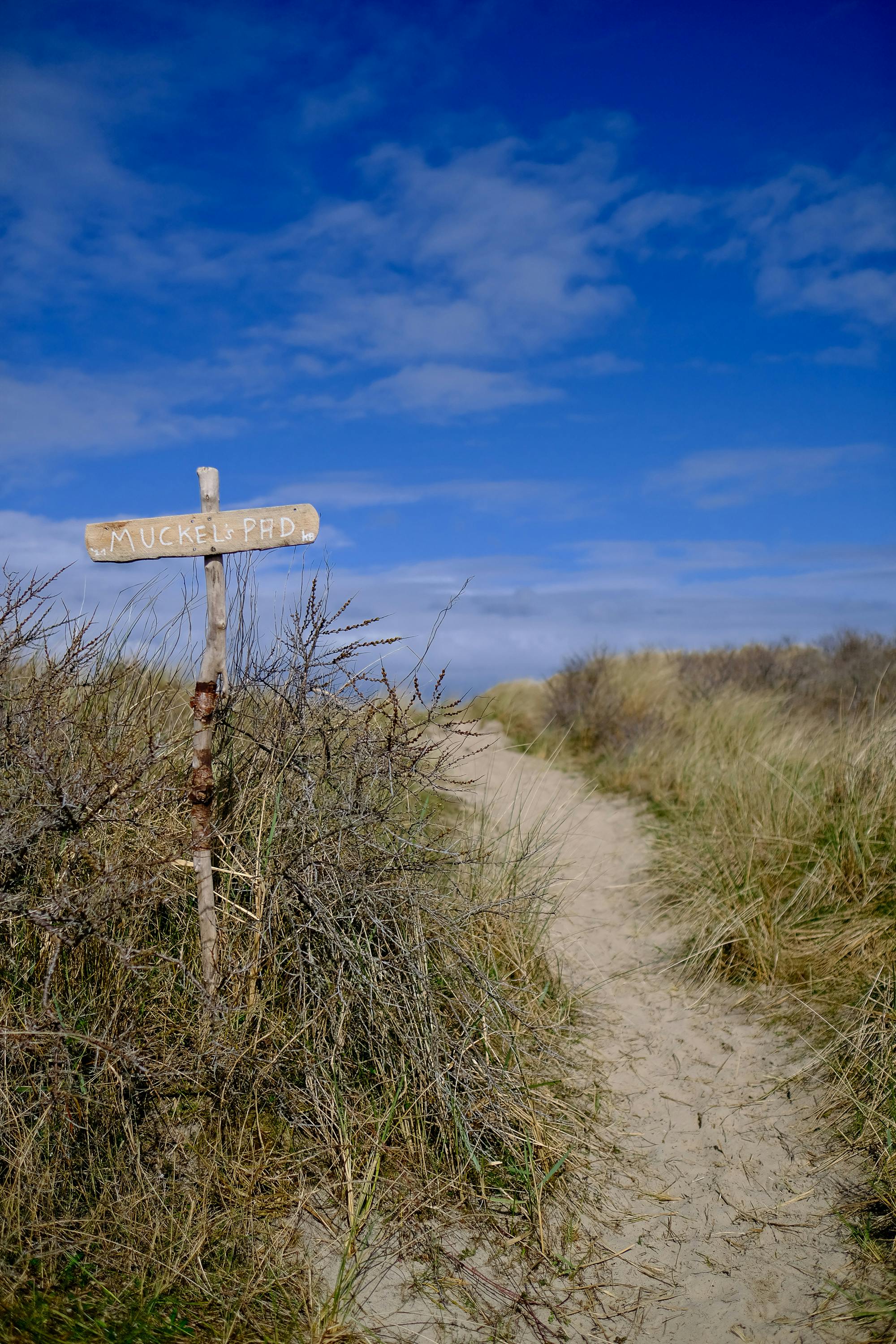 Sensor Sign Photos, Download The BEST Free Sensor Sign Stock Photos ...