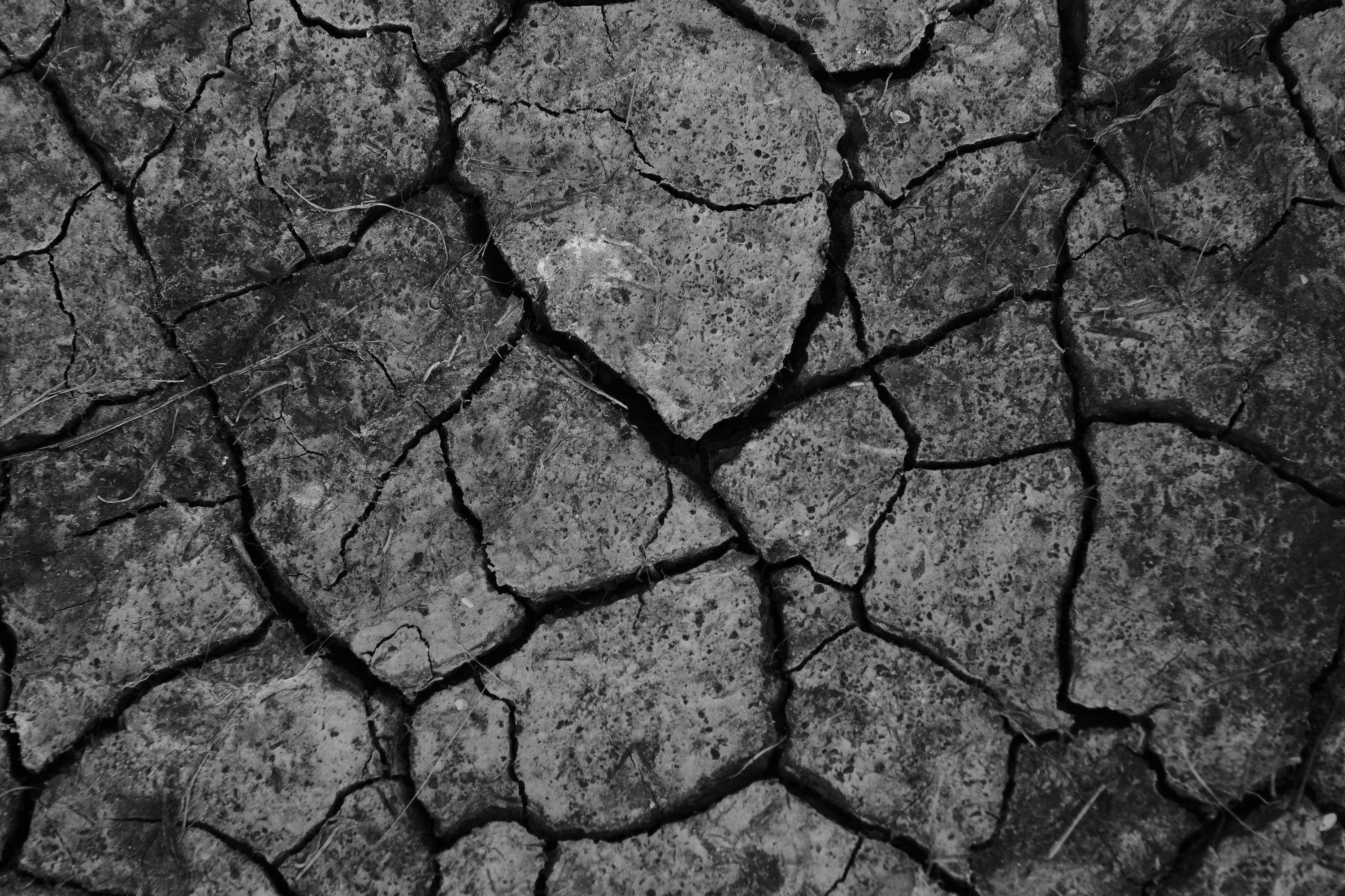 Photo gratuite de argile, aride, aridité, changement climatique ...