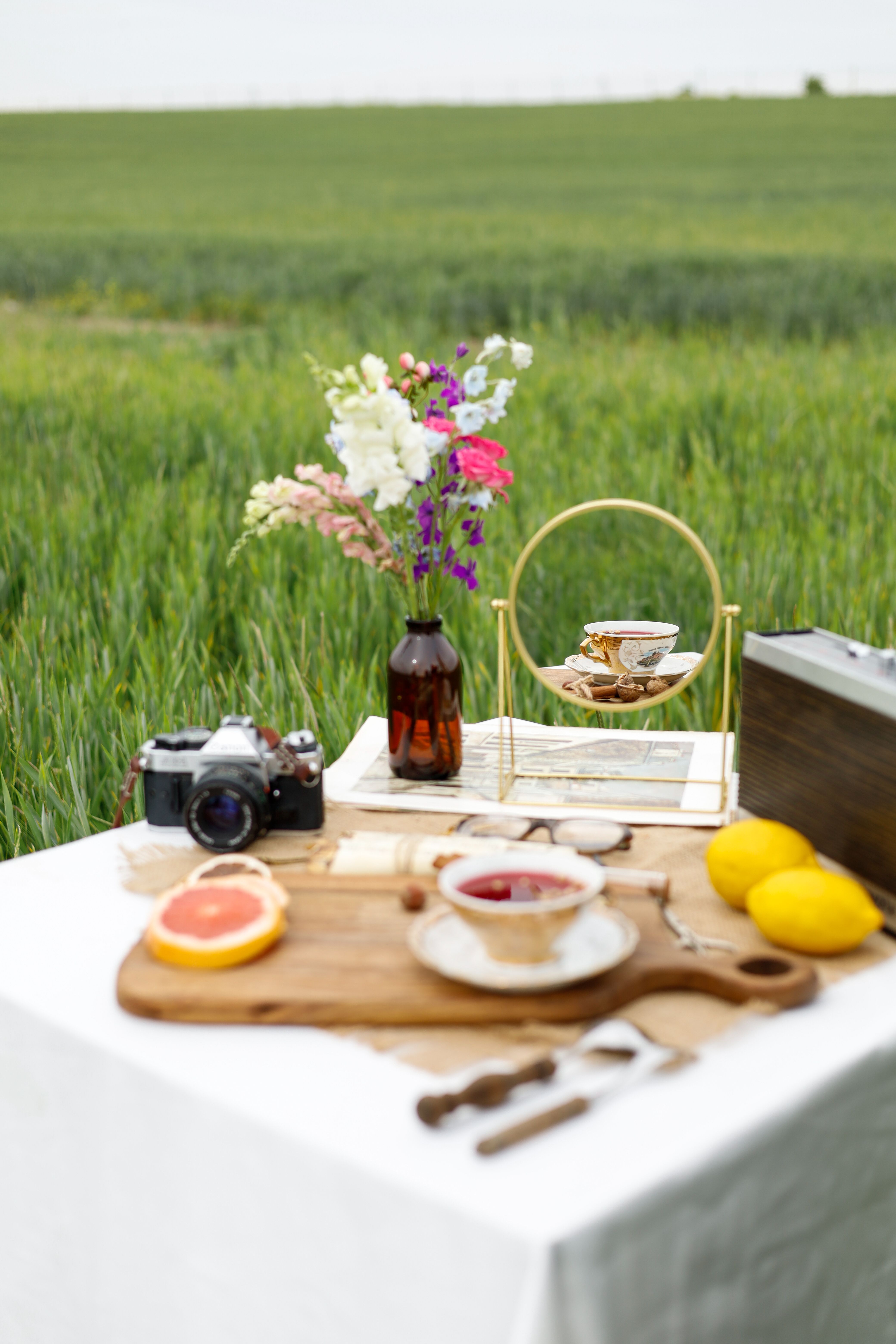 Still life with Table in Field · Free Stock Photo