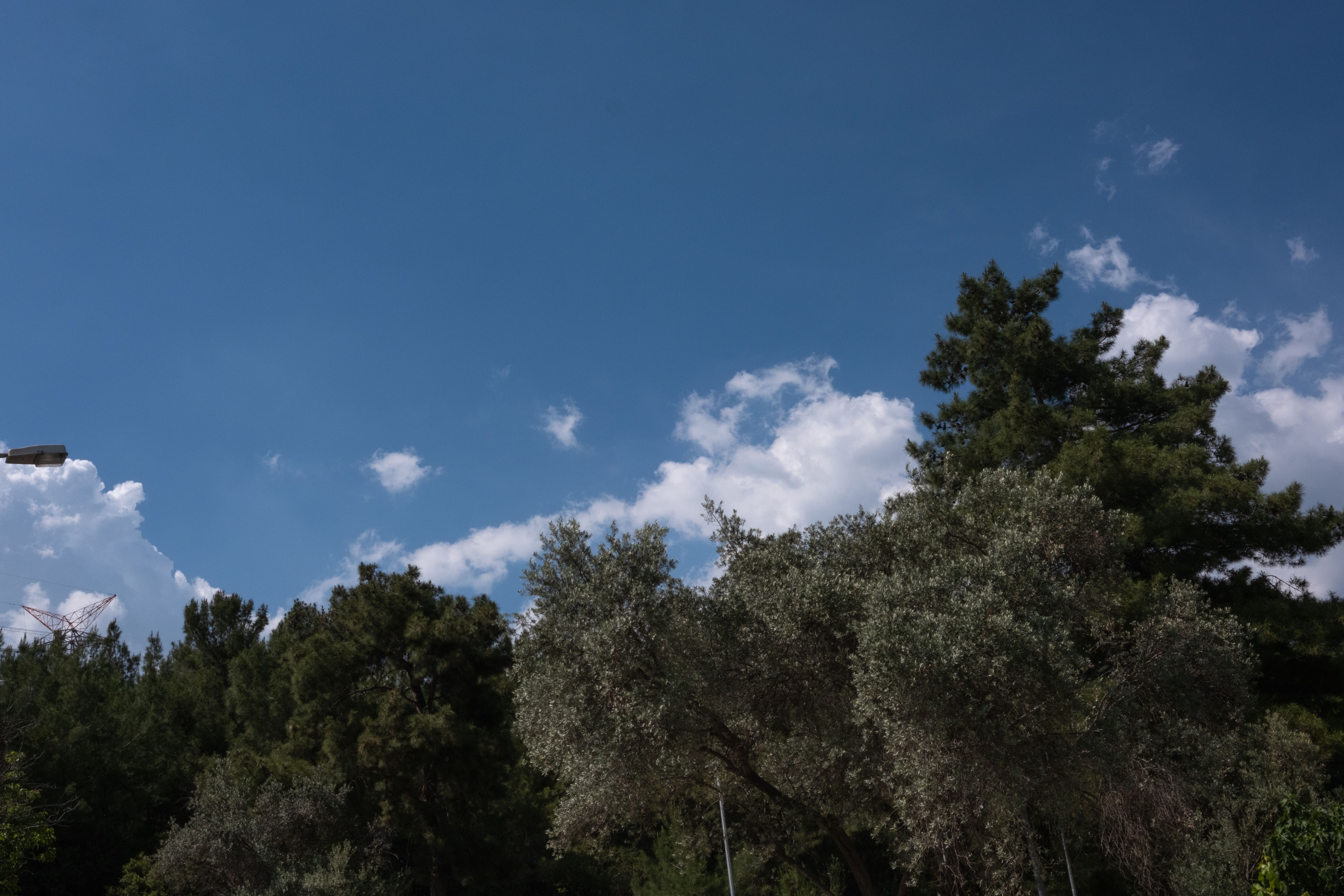 A kite flying in the sky over trees and bushes · Free Stock Photo