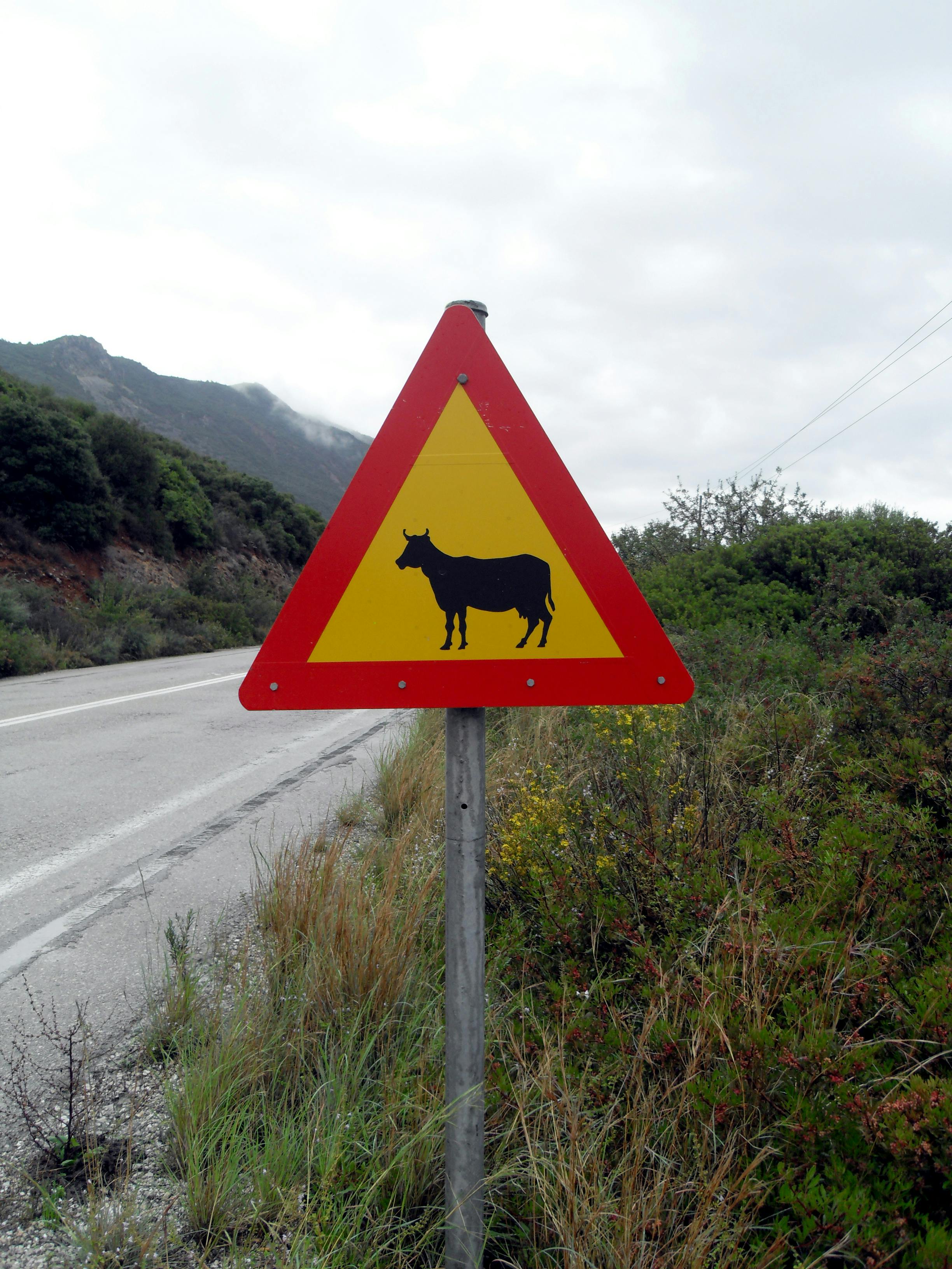 Log Pile And Warning Sign Photos, Download The BEST Free Log Pile And ...