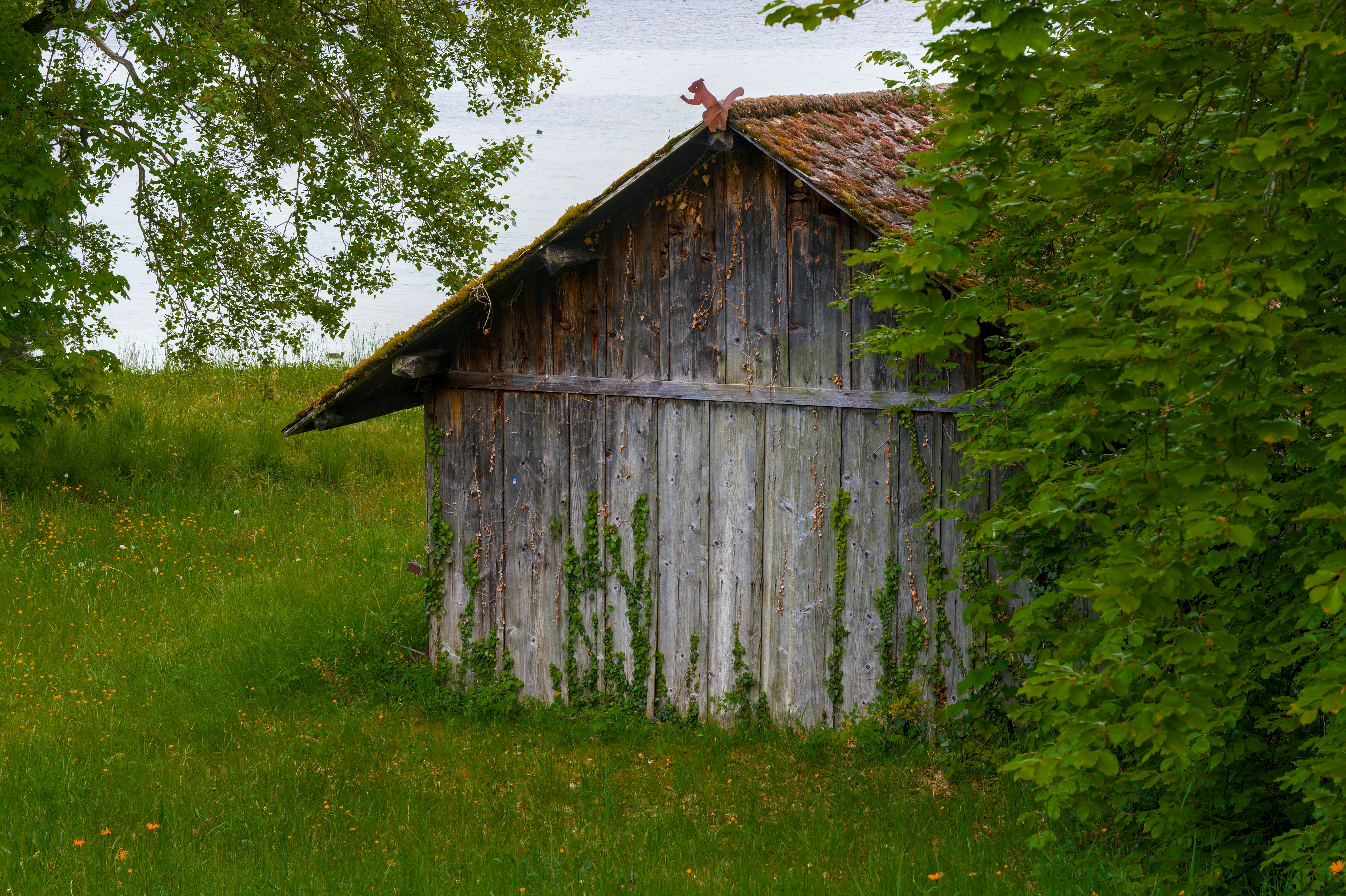 Exterior of a Wooden Shack · Free Stock Photo