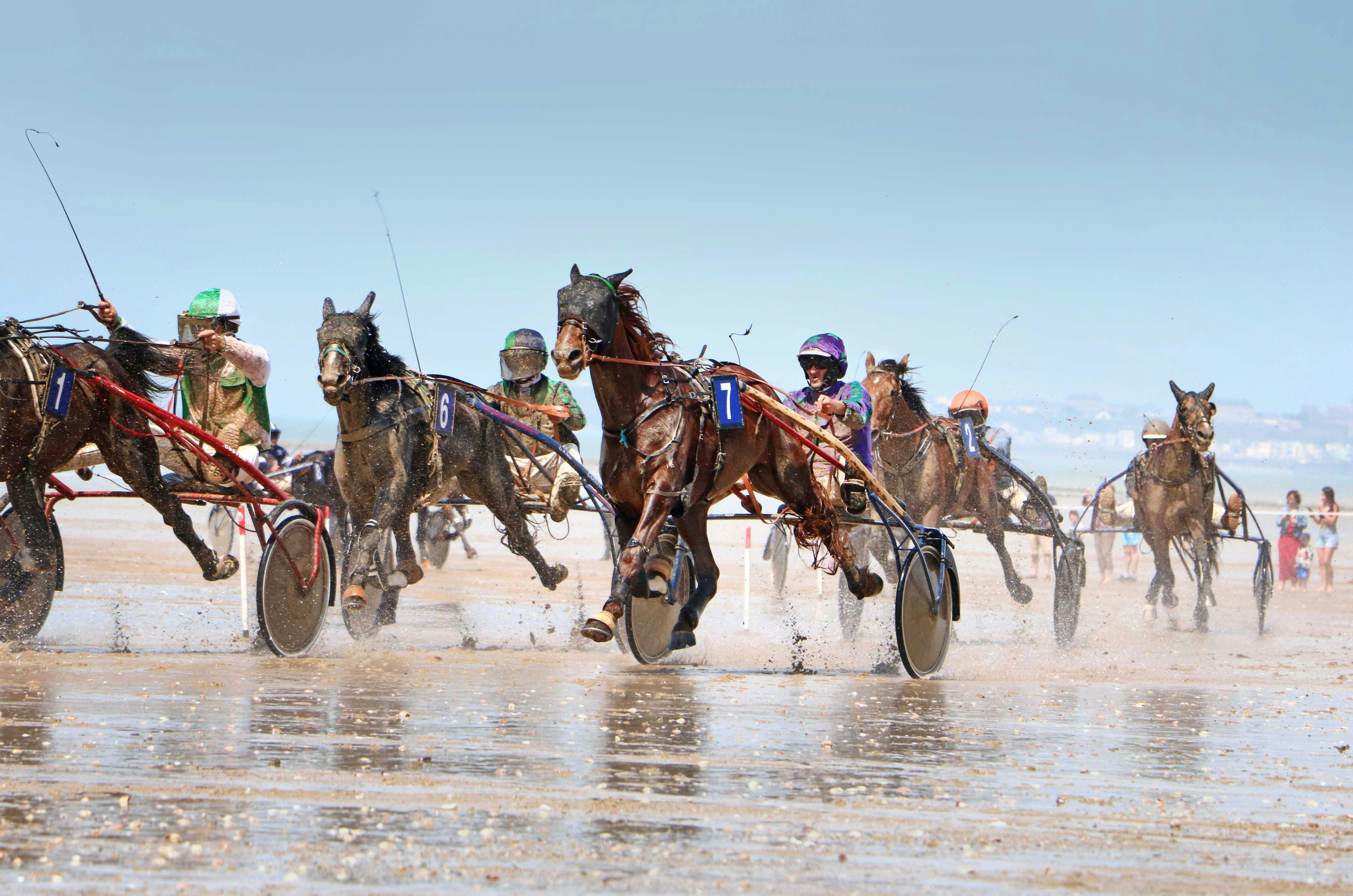 Chariots Race on Beach · Free Stock Photo