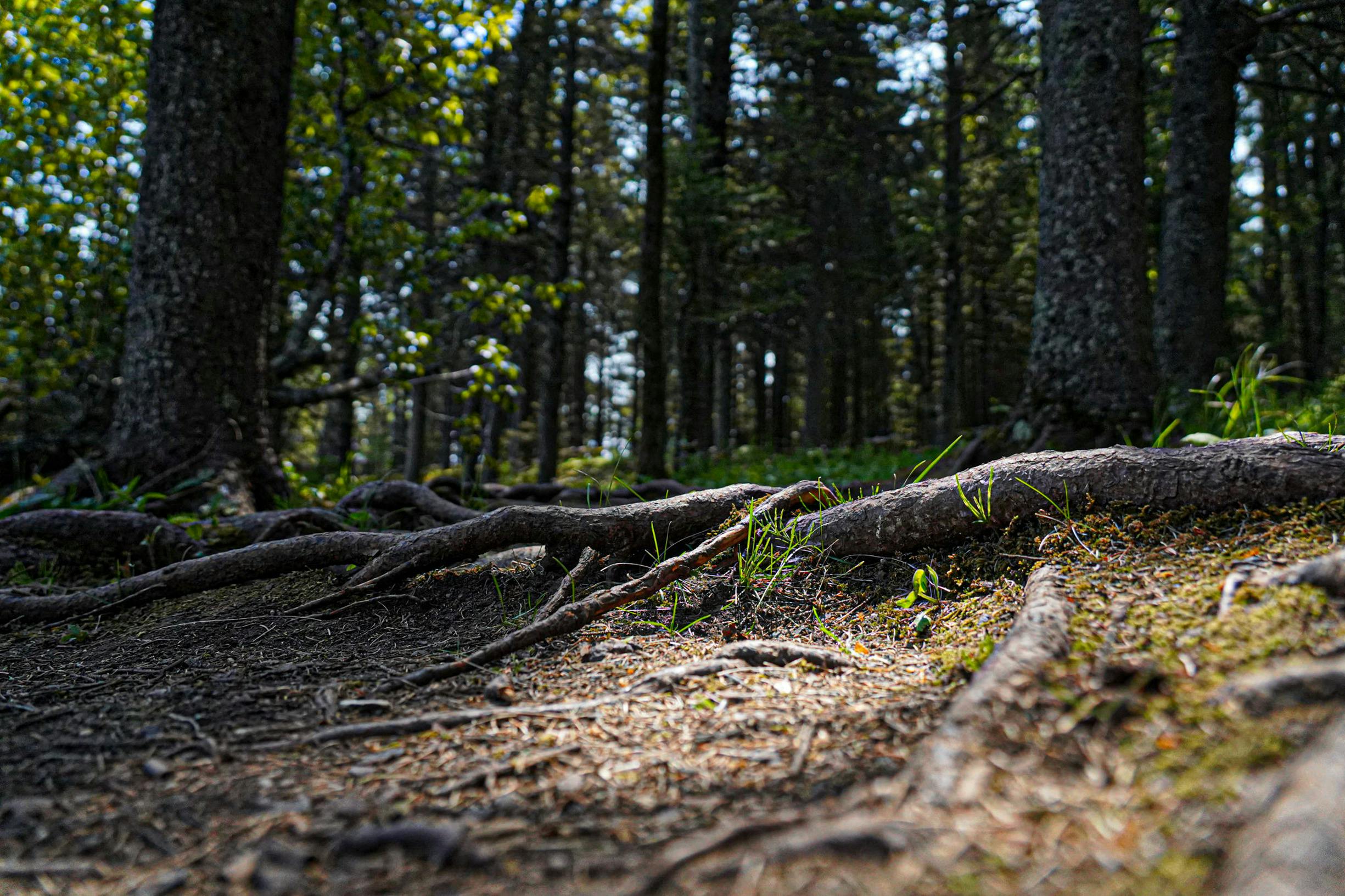 Sponge Ground Photos, Download The BEST Free Sponge Ground Stock Photos ...