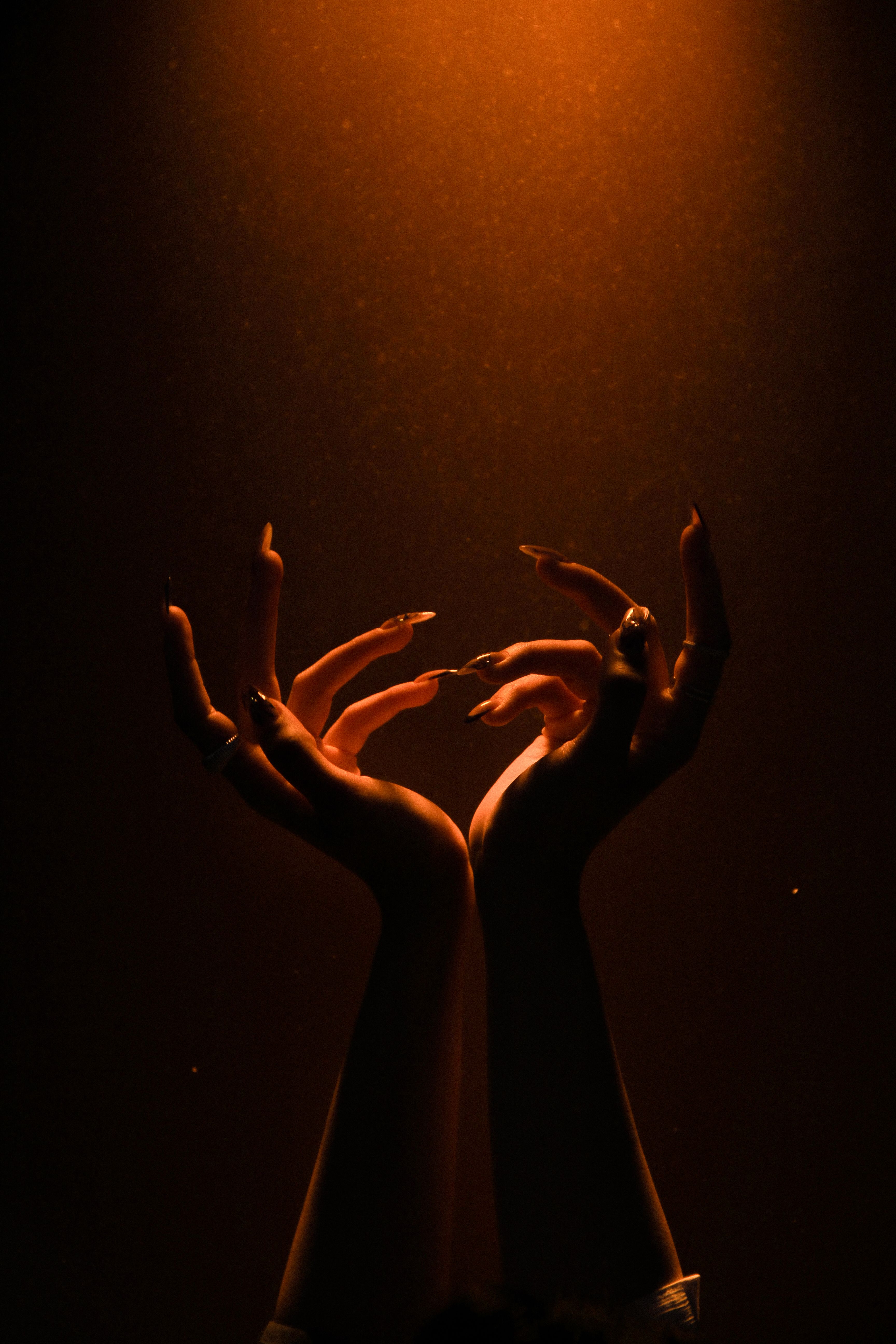 Persons Raising Hands · Free Stock Photo