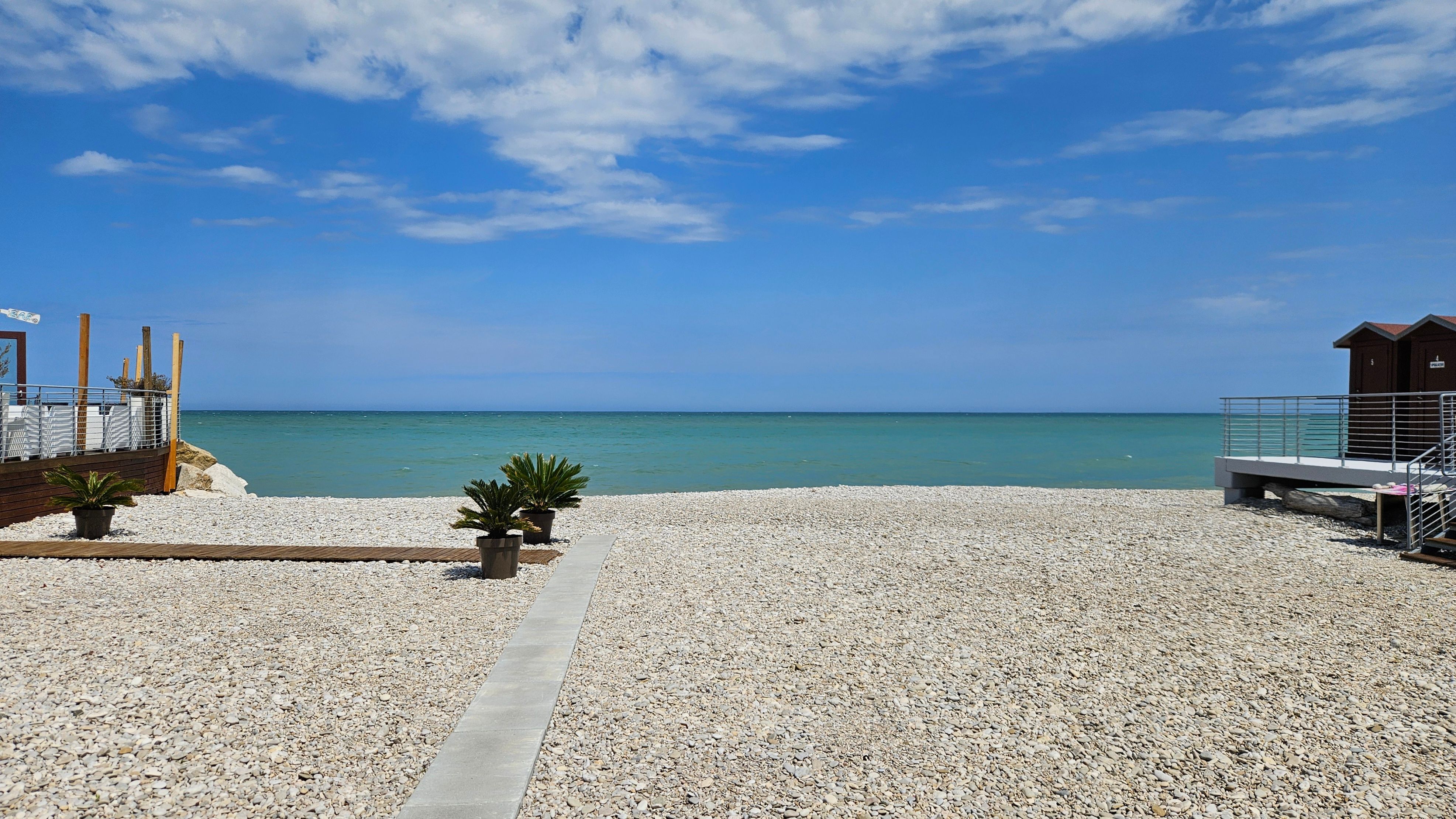 Plants on Pebbles on Beach on Sea Shore · Free Stock Photo