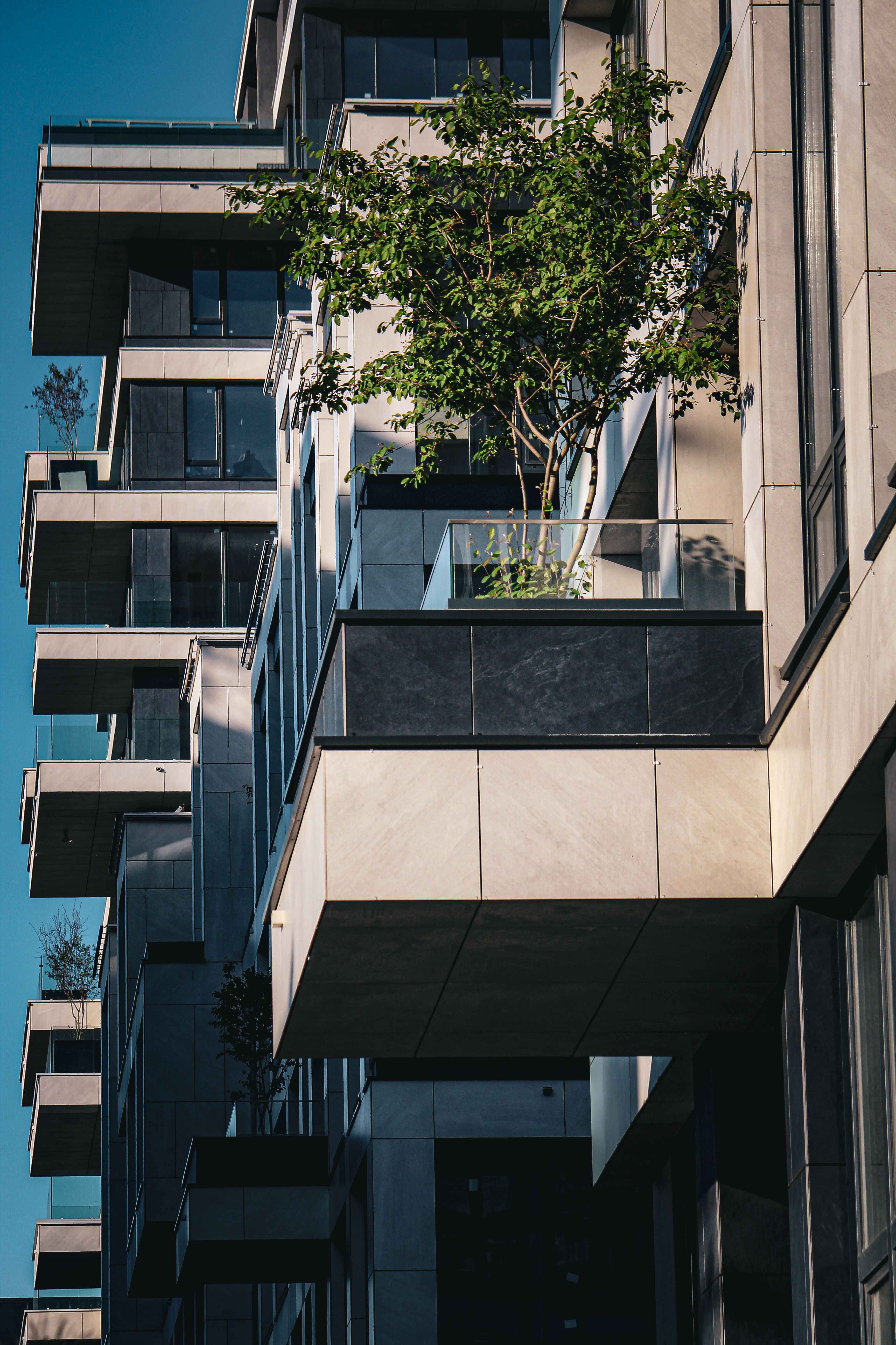 Modern Urban Architecture with Palm Trees · Free Stock Photo