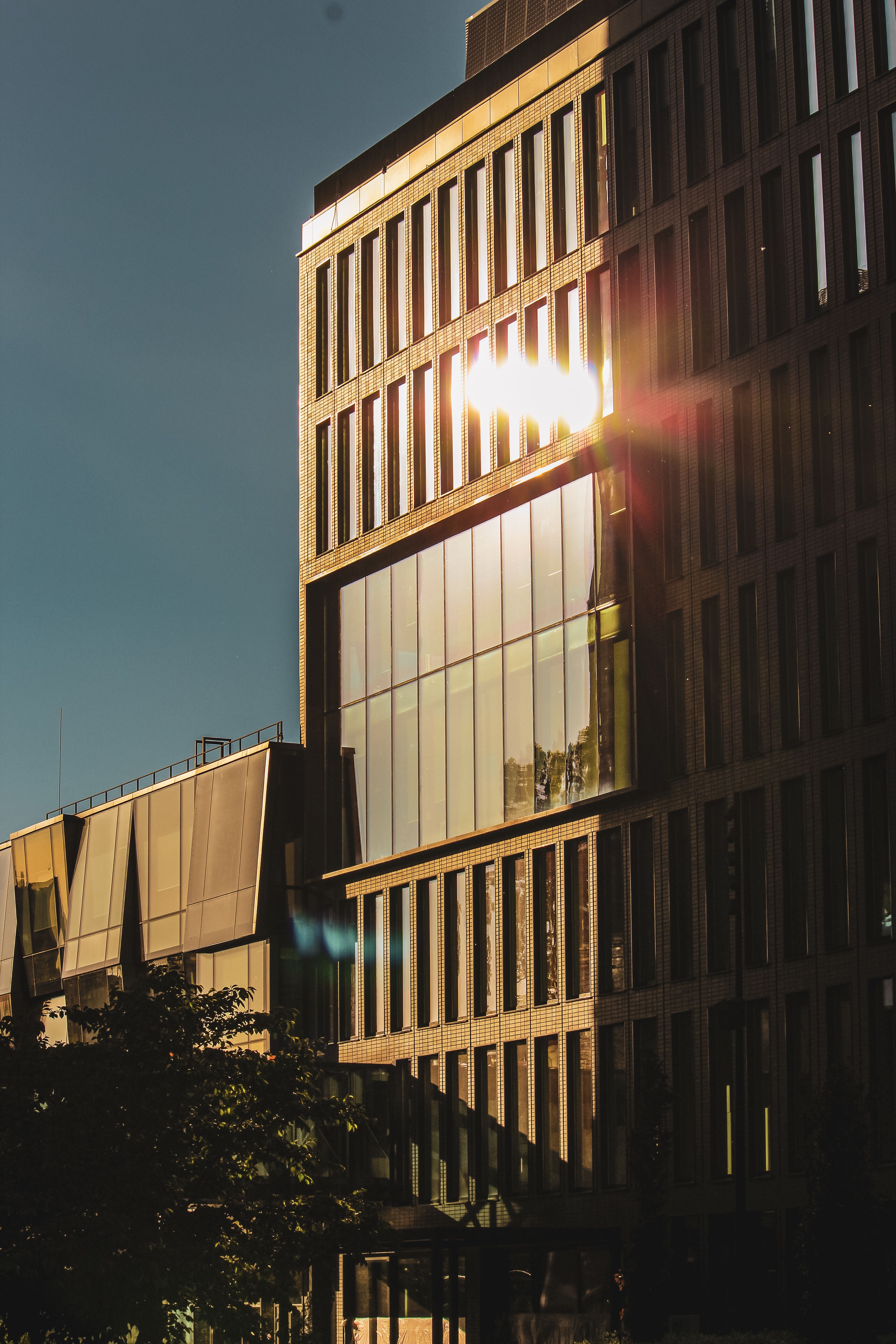 Sunlight Reflecting in the Windows · Free Stock Photo
