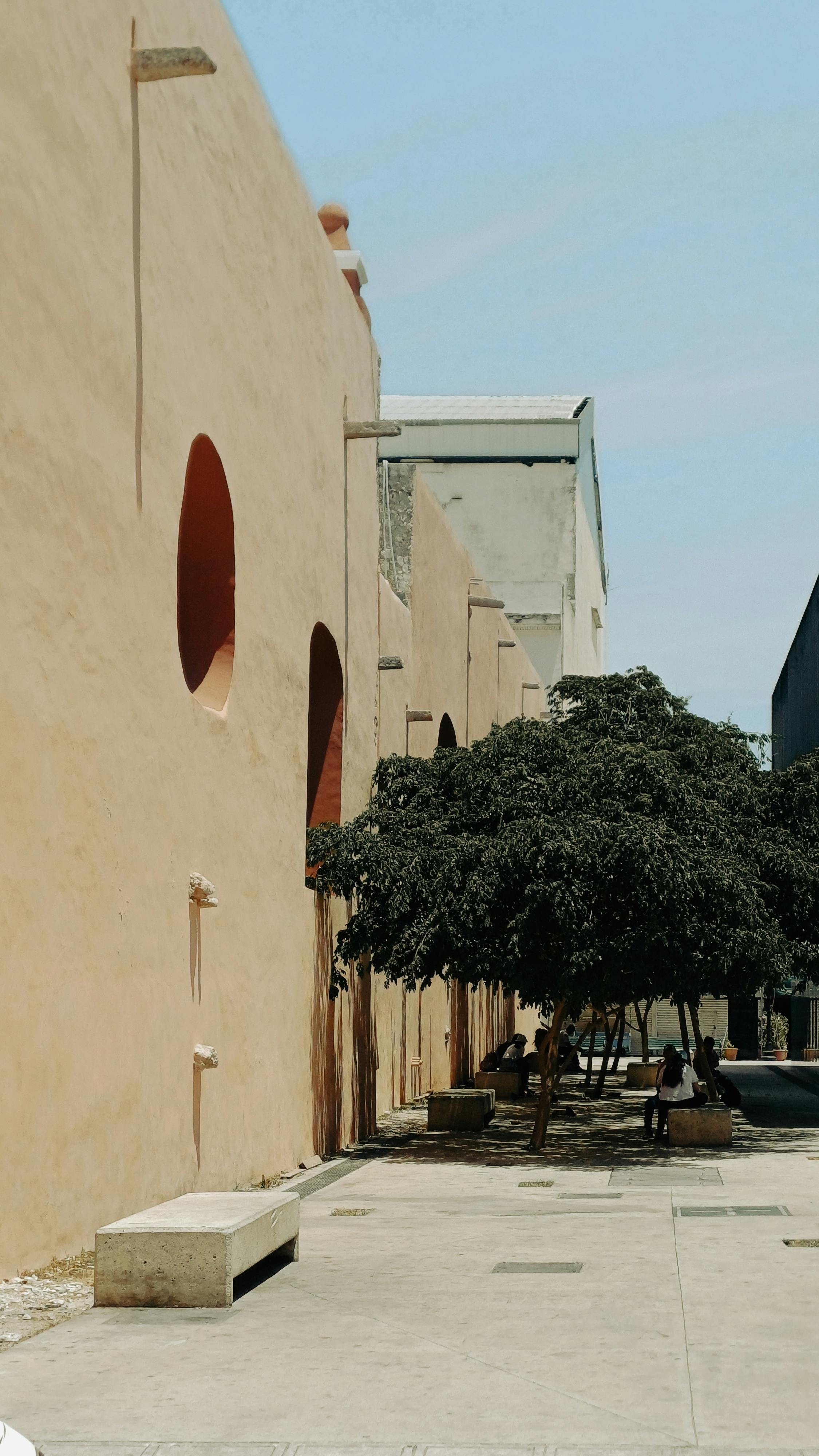 Tree near Building in Town · Free Stock Photo
