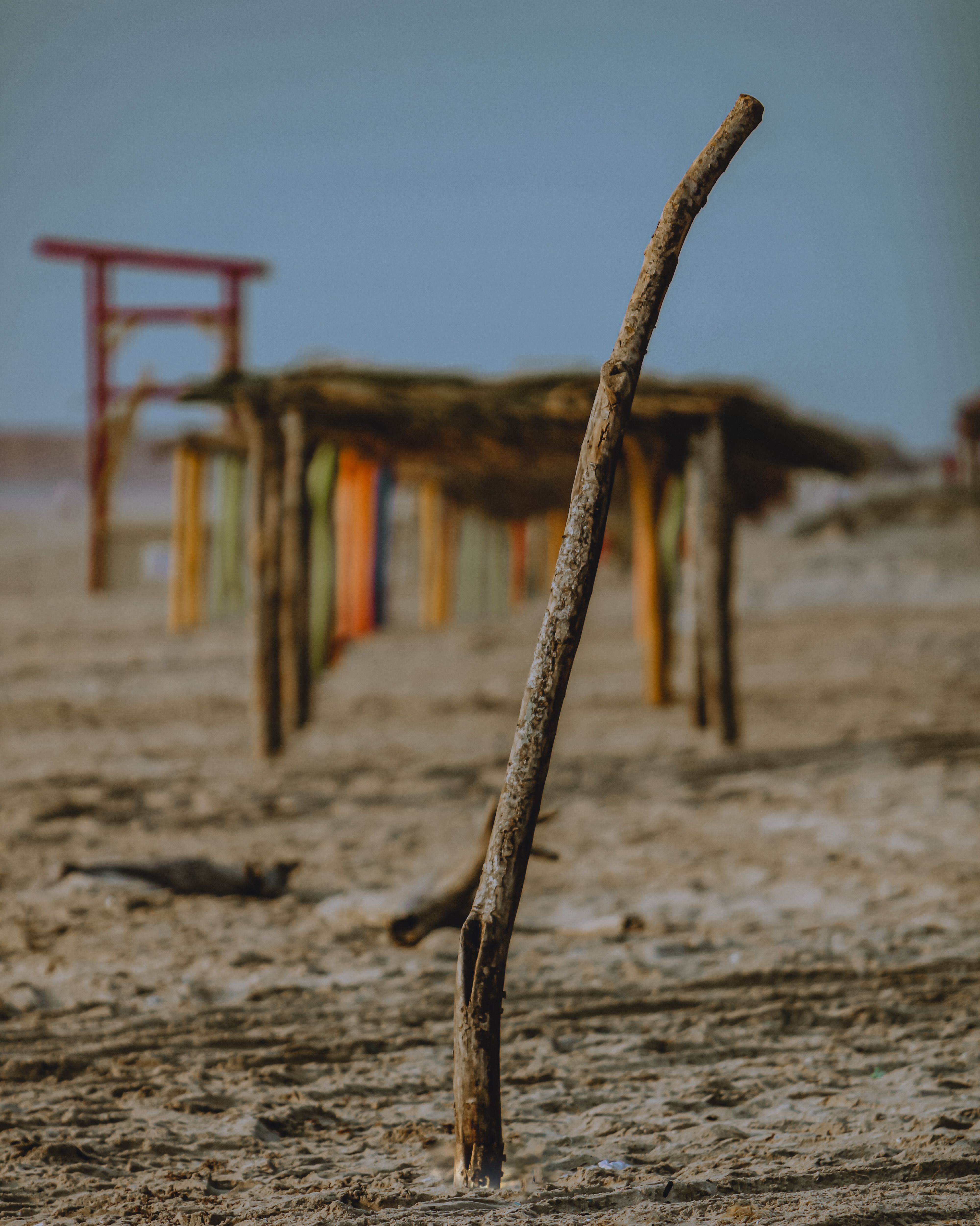 Laura Romero - Photography