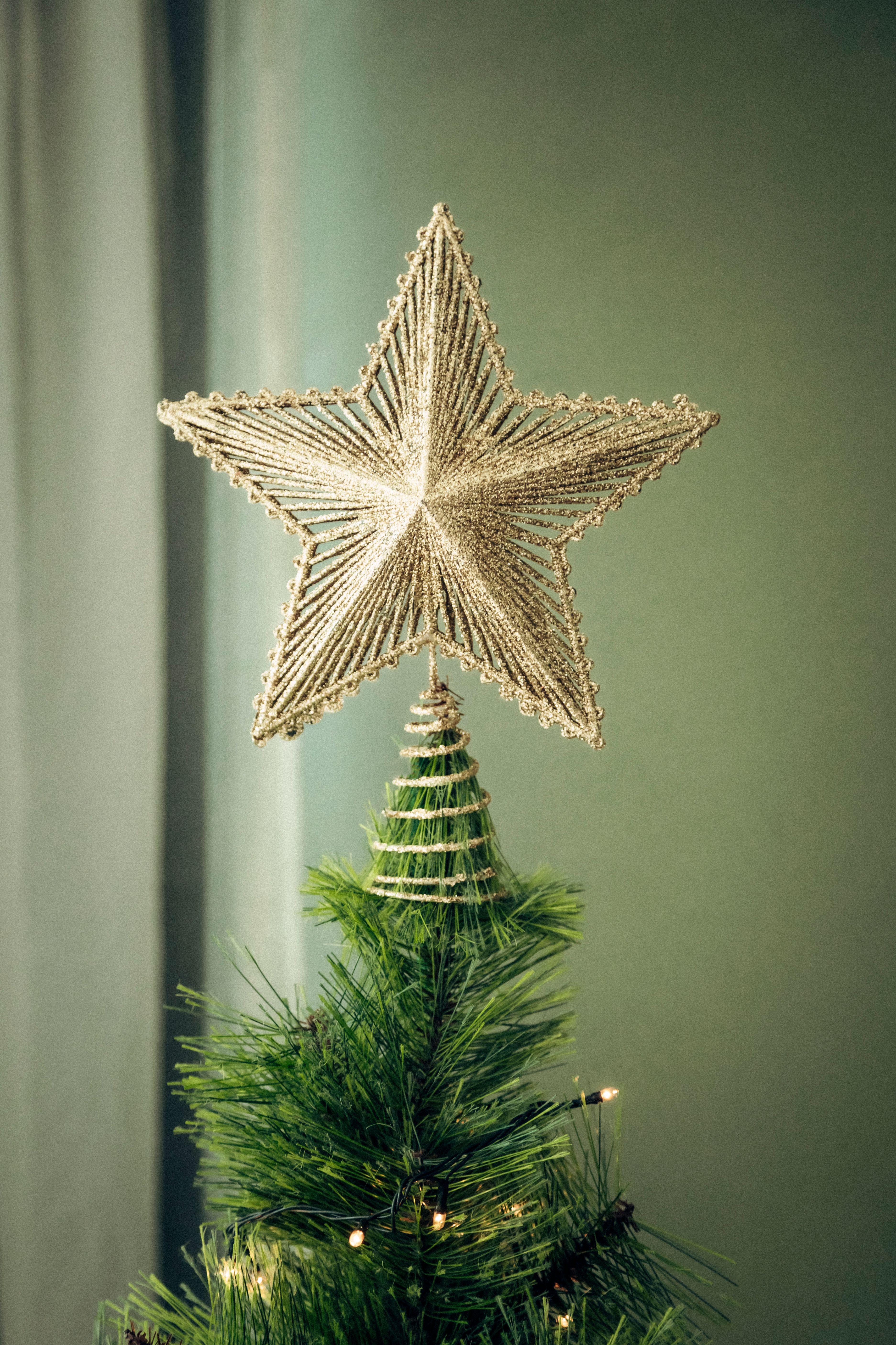 Star Numse Photos, Download The BEST Free Star Numse Stock Photos & HD ...