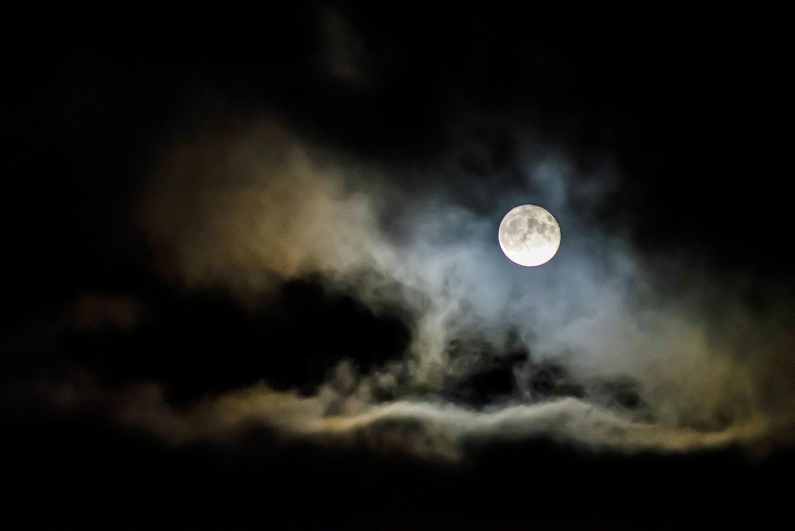 Spooky Photos, Download The BEST Free Spooky Stock Photos & HD Images