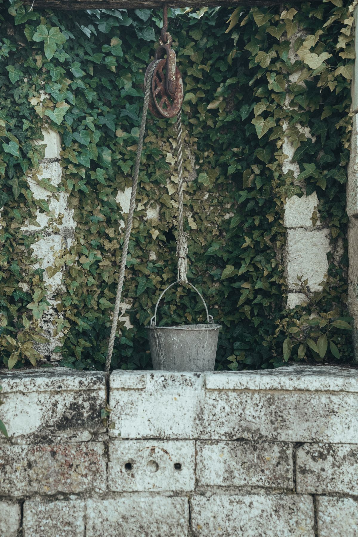 Wishing Well Photos, Download The BEST Free Wishing Well Stock Photos ...