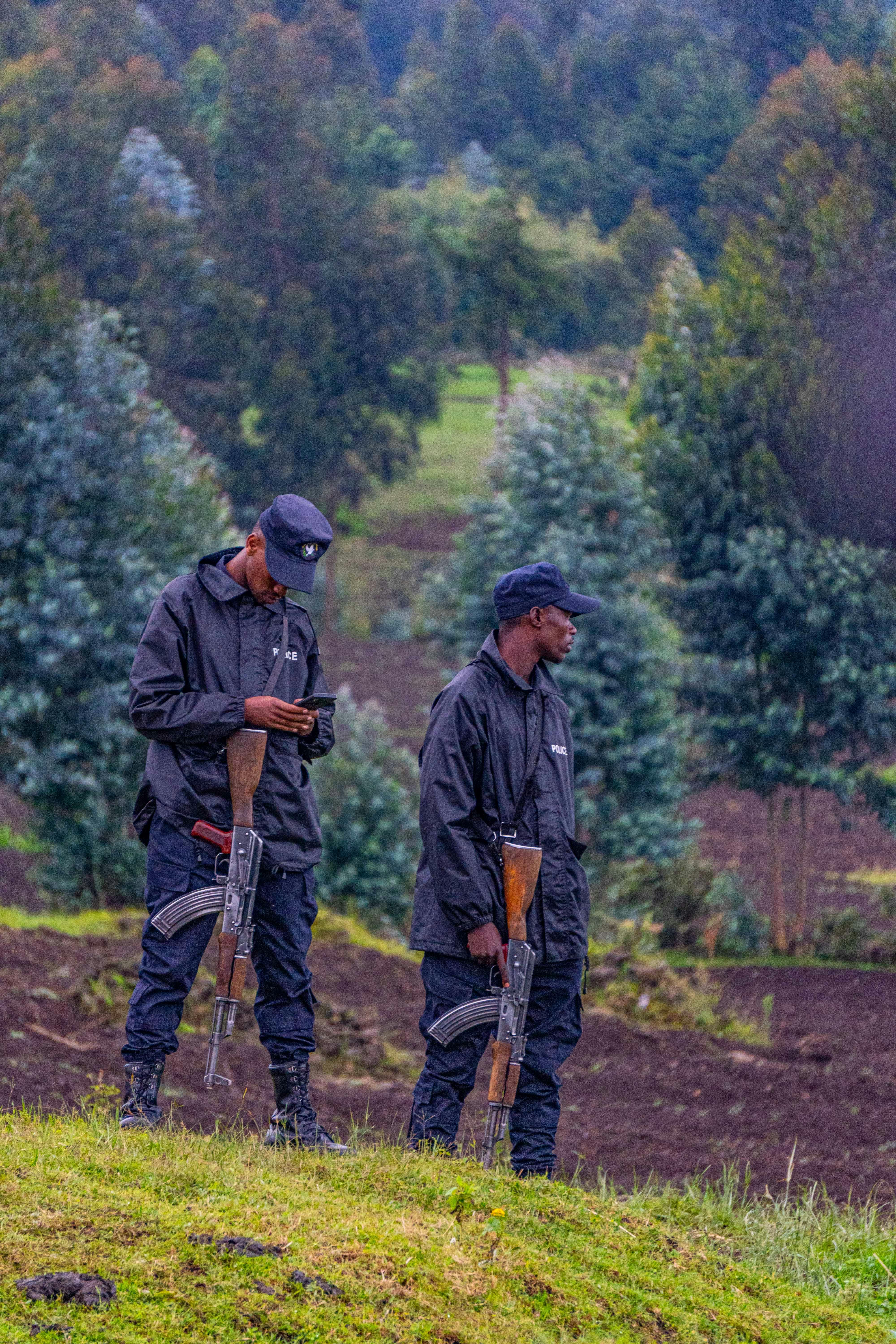 Two Soldiers Standing in a Field · Free Stock Photo