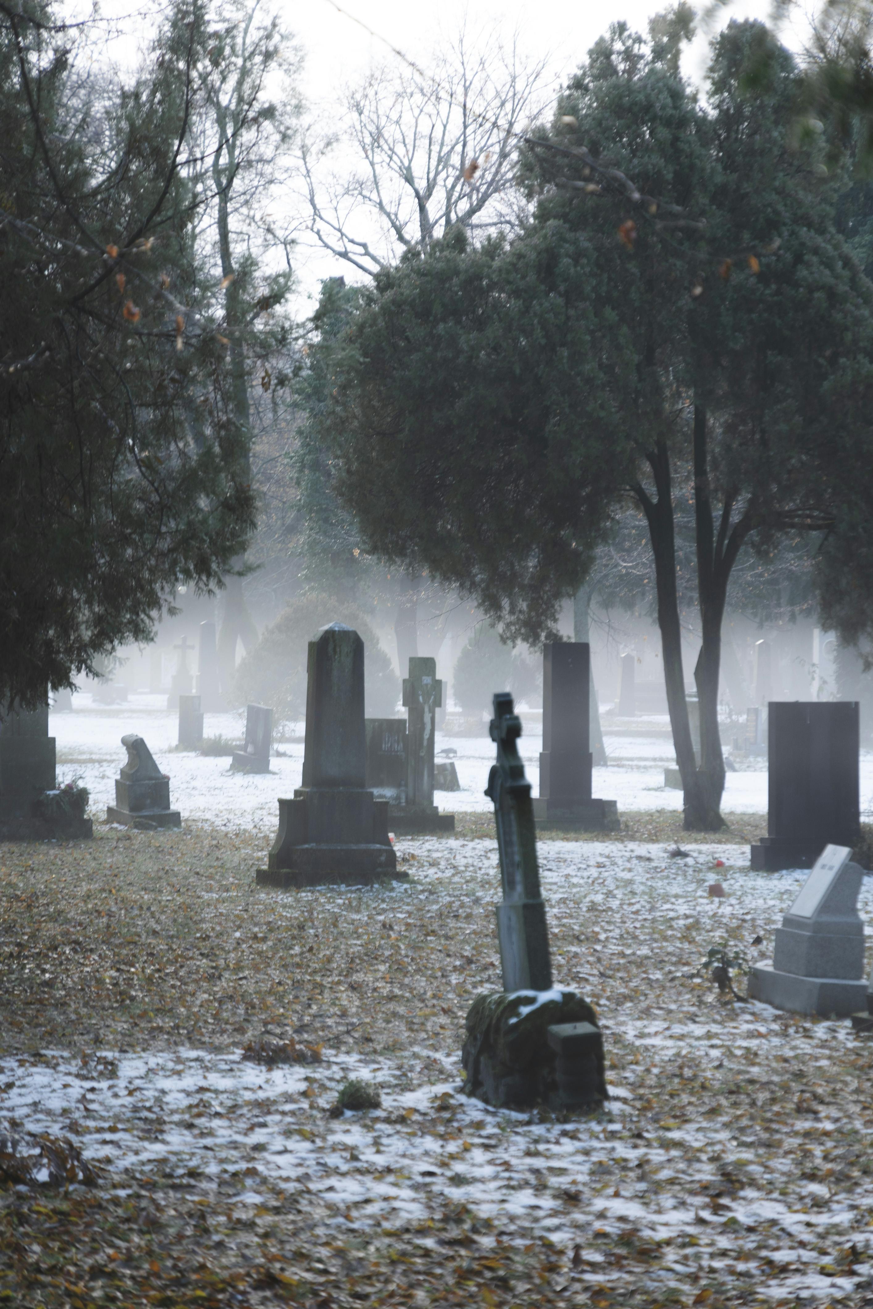 View of a Cemetery in Winter · Free Stock Photo