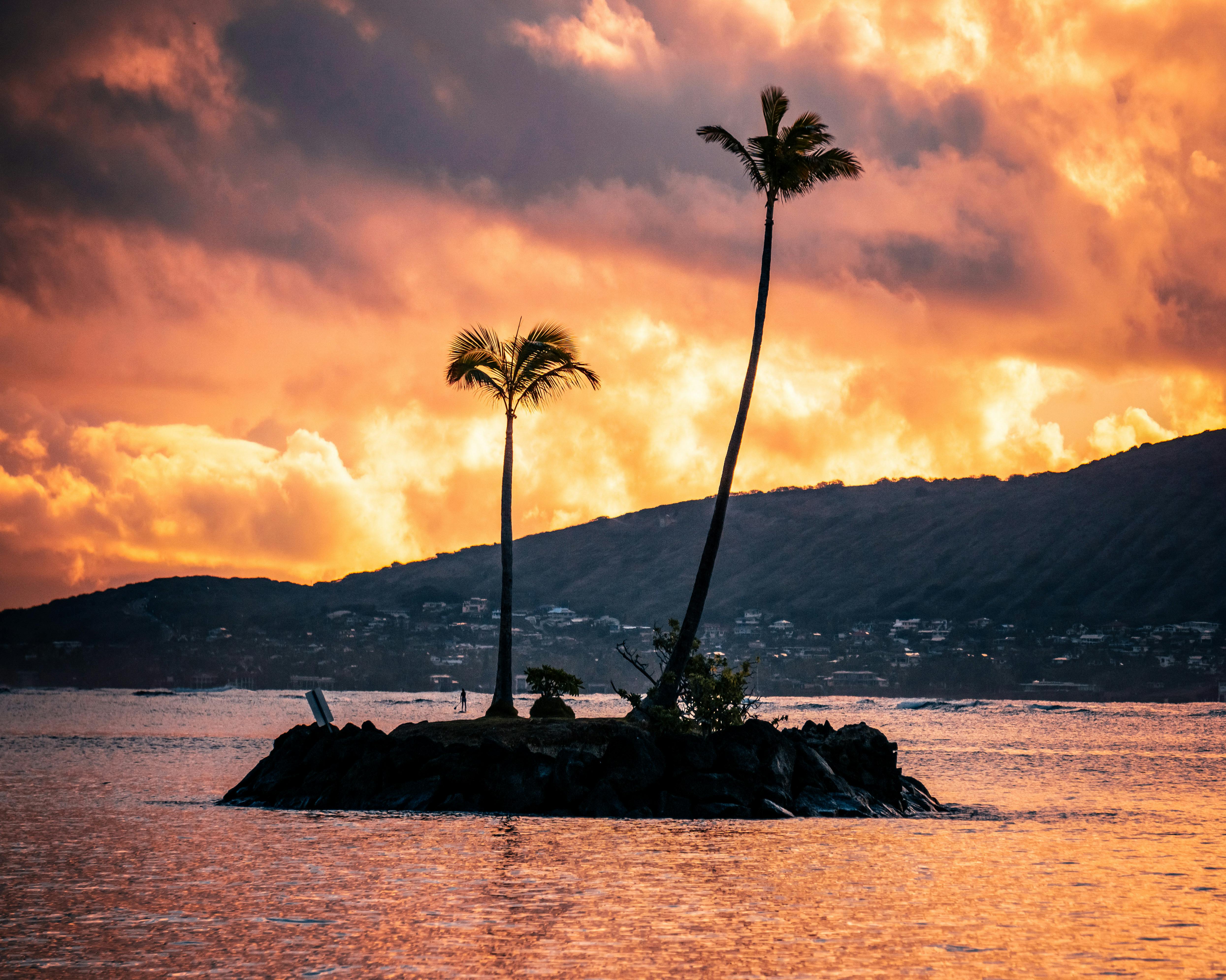 Tiny Island with Palm Trees Next to Seashore at Sunset · Free Stock Photo