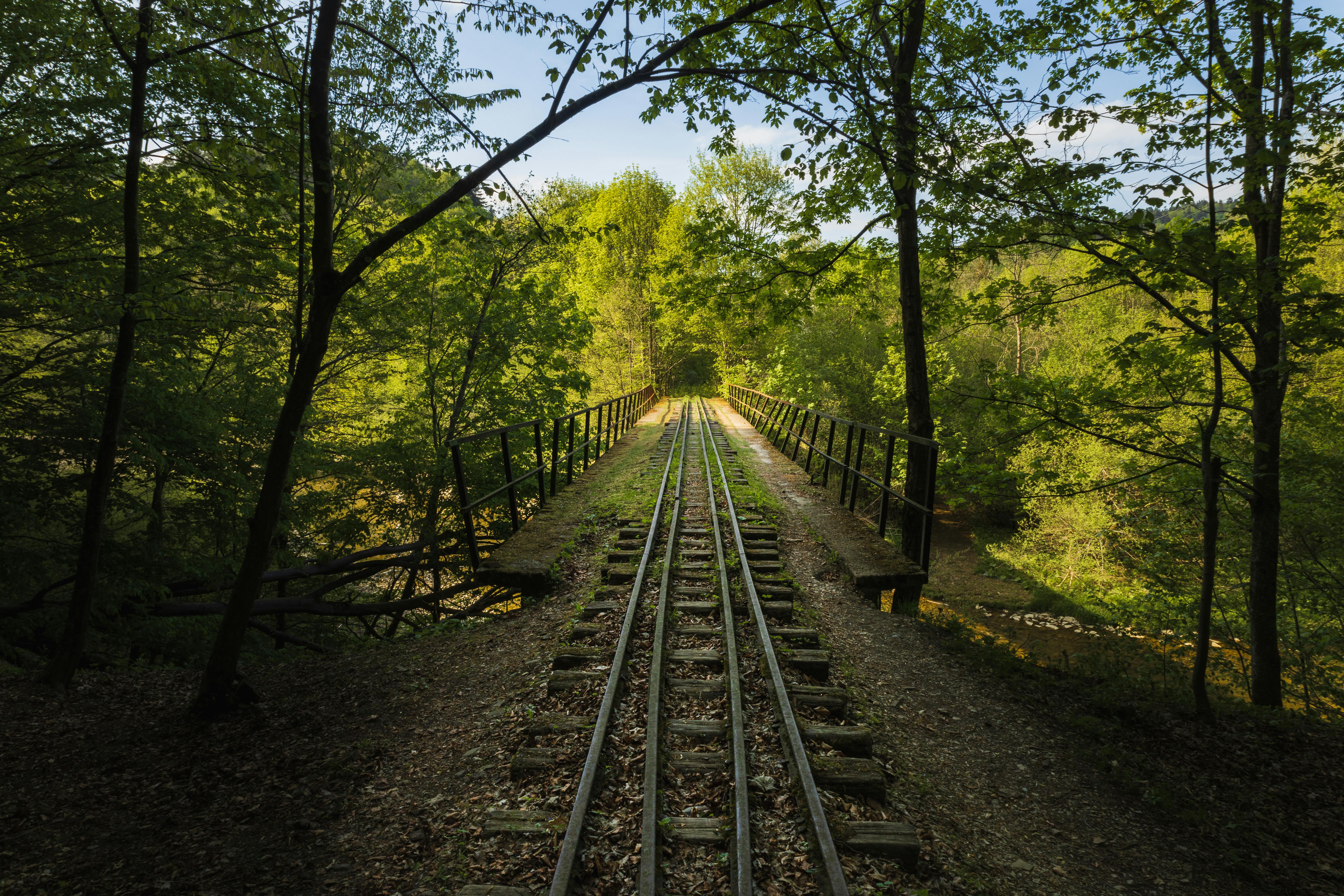 Vintage Railway Bridge in Forest · Free Stock Photo