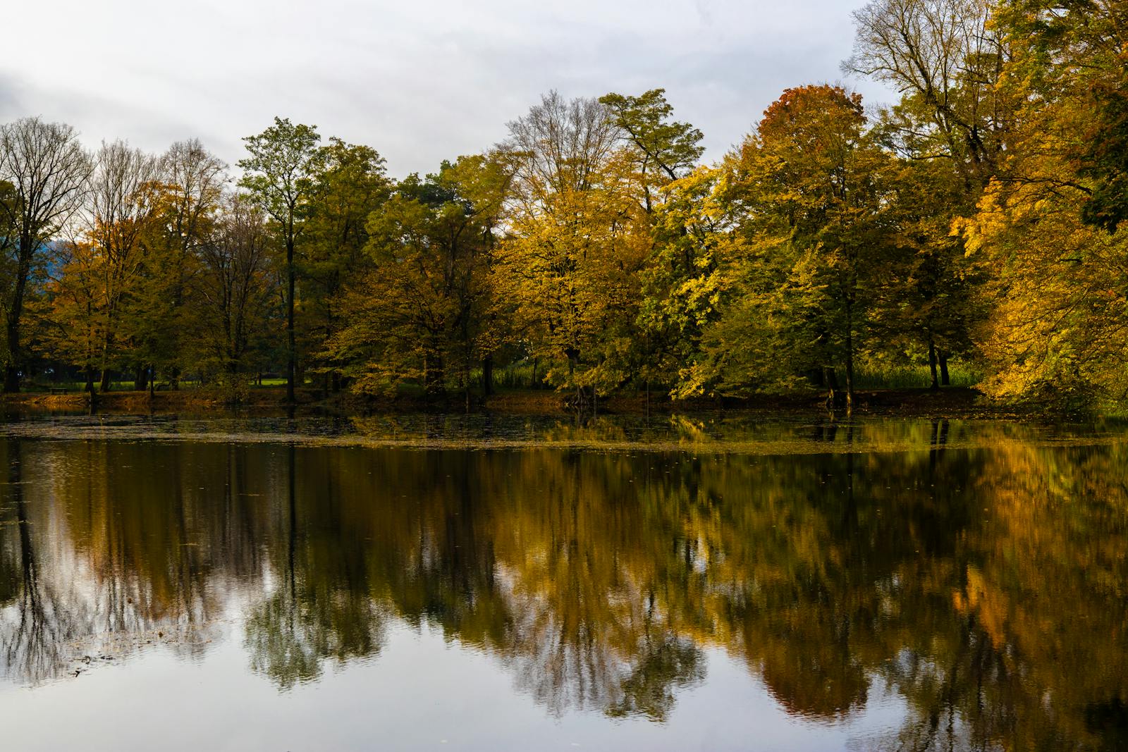 Fall Autumn Photos, Download The BEST Free Fall Autumn Stock Photos ...