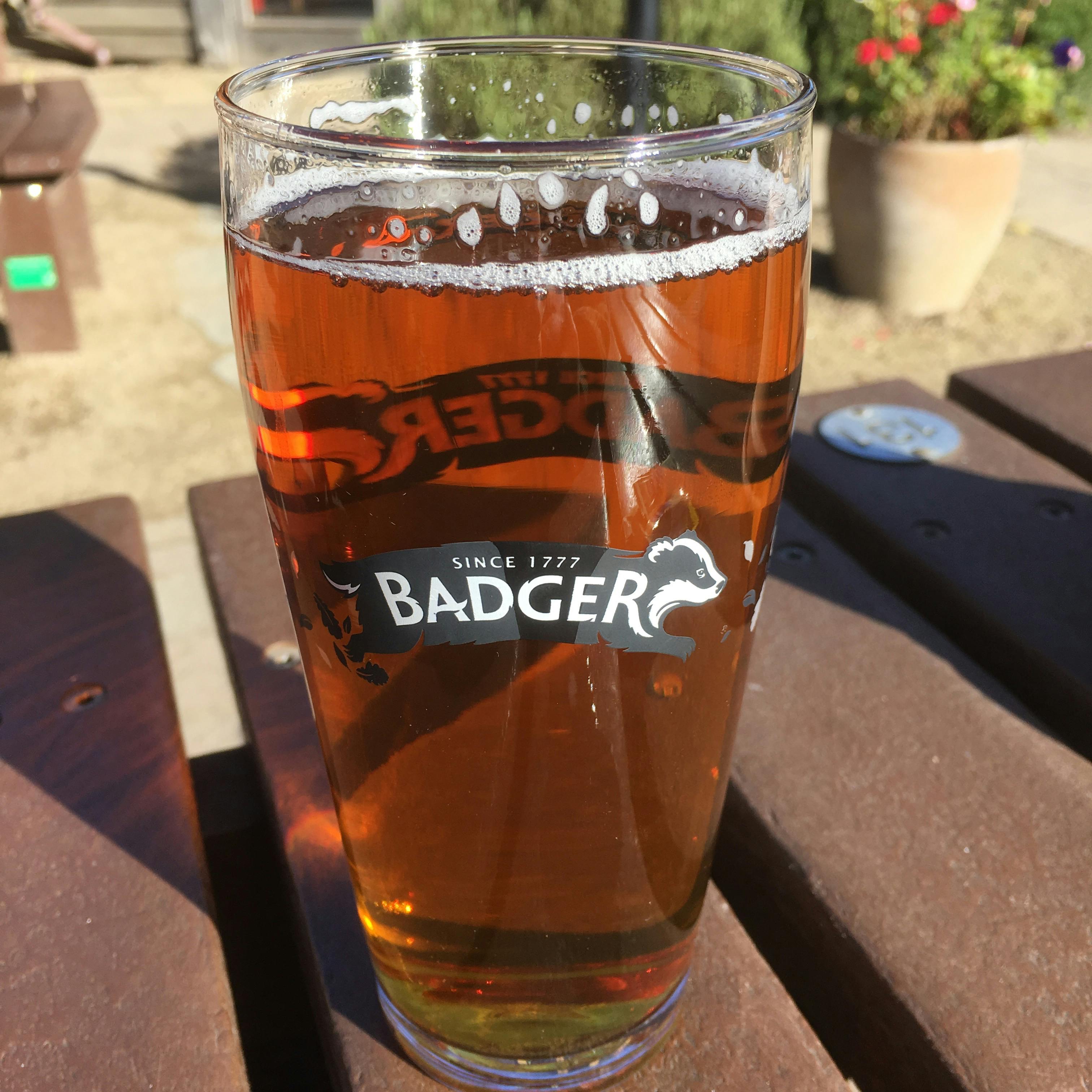Free stock photo of Badger Beer Pint
