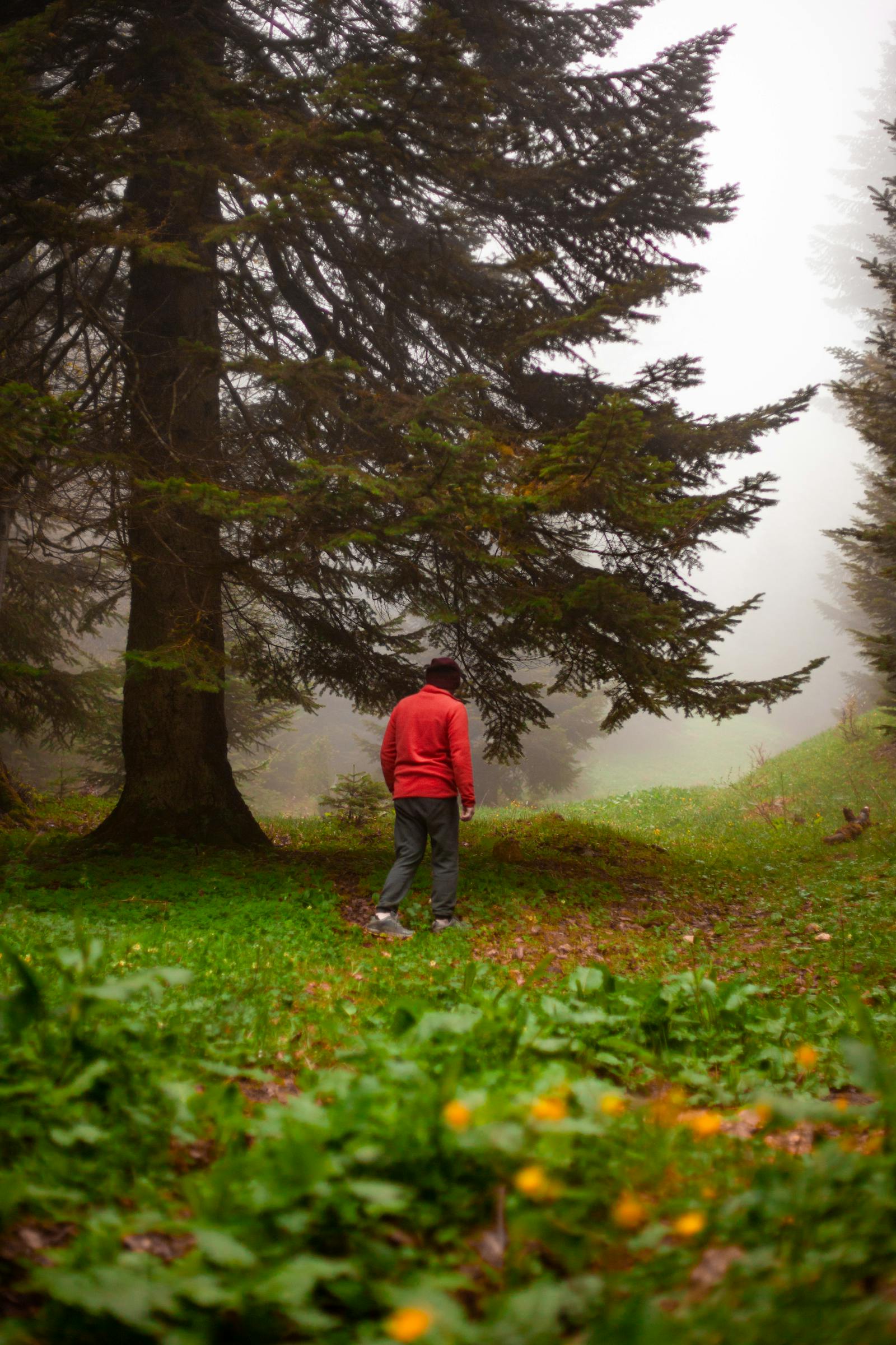 Uncanny Valley Photos, Download The BEST Free Uncanny Valley Stock ...