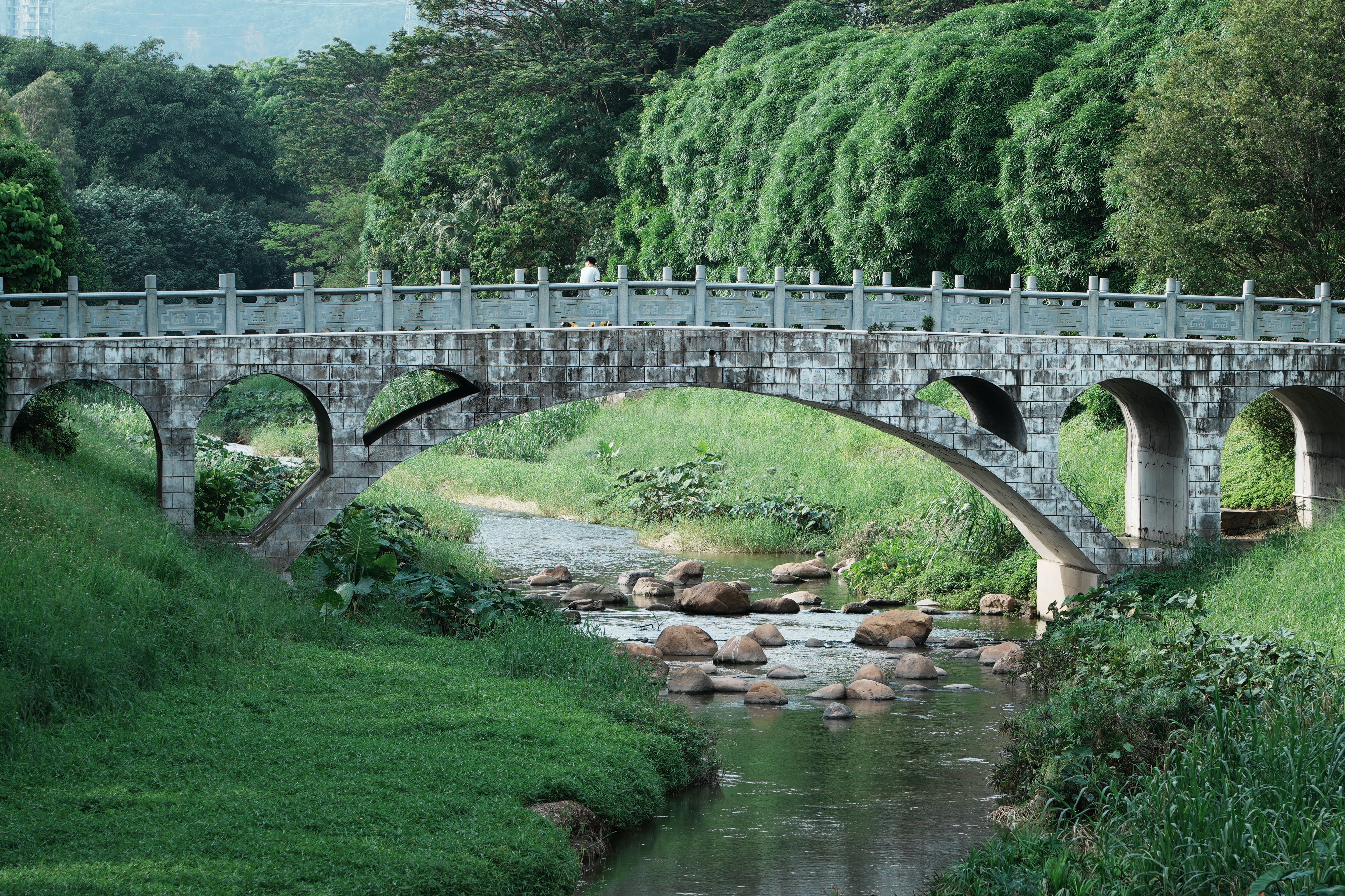 A bridge over a stream with green grass and trees · Free Stock Photo