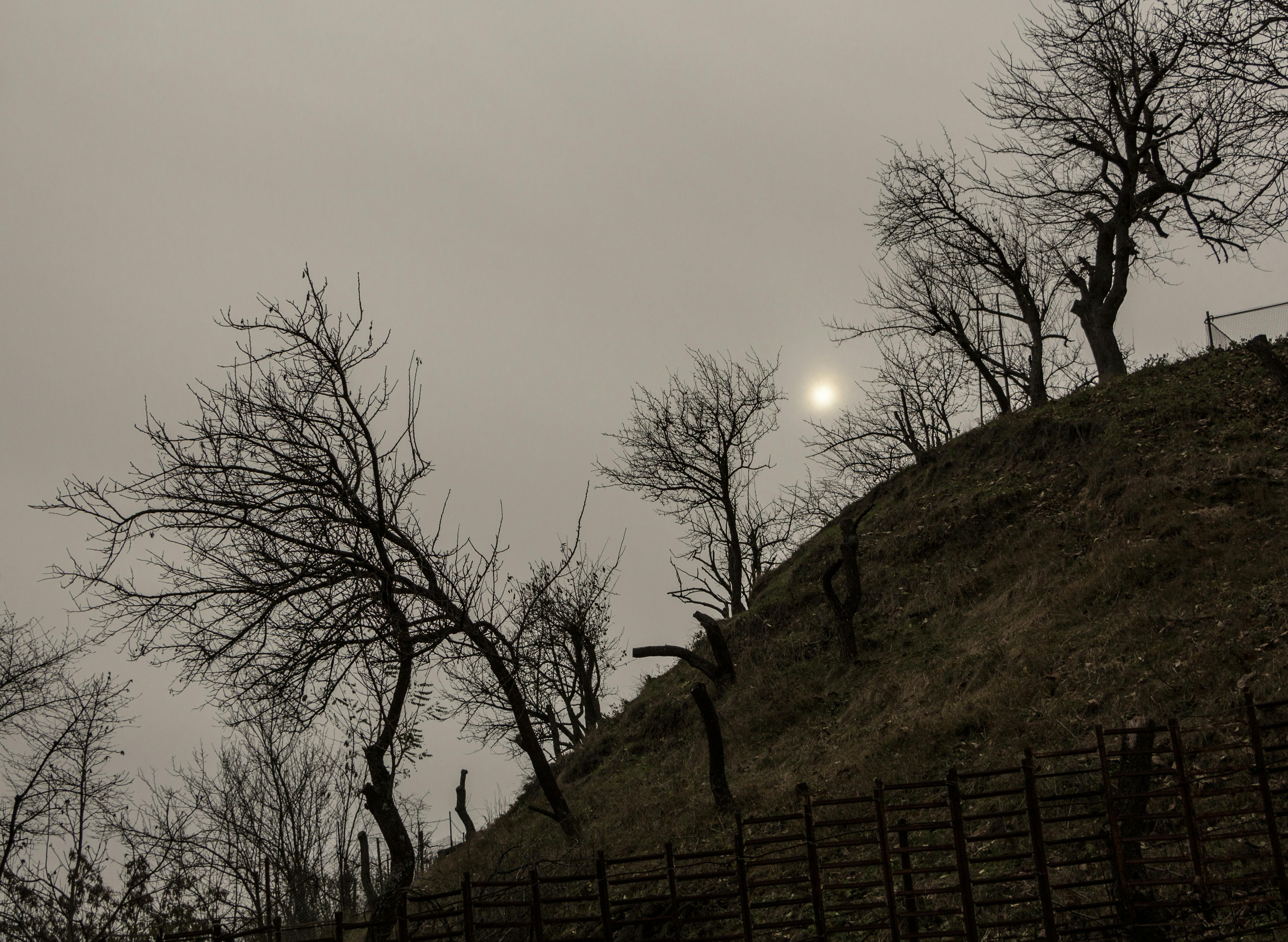 Free stock photo of fence, hill, horror