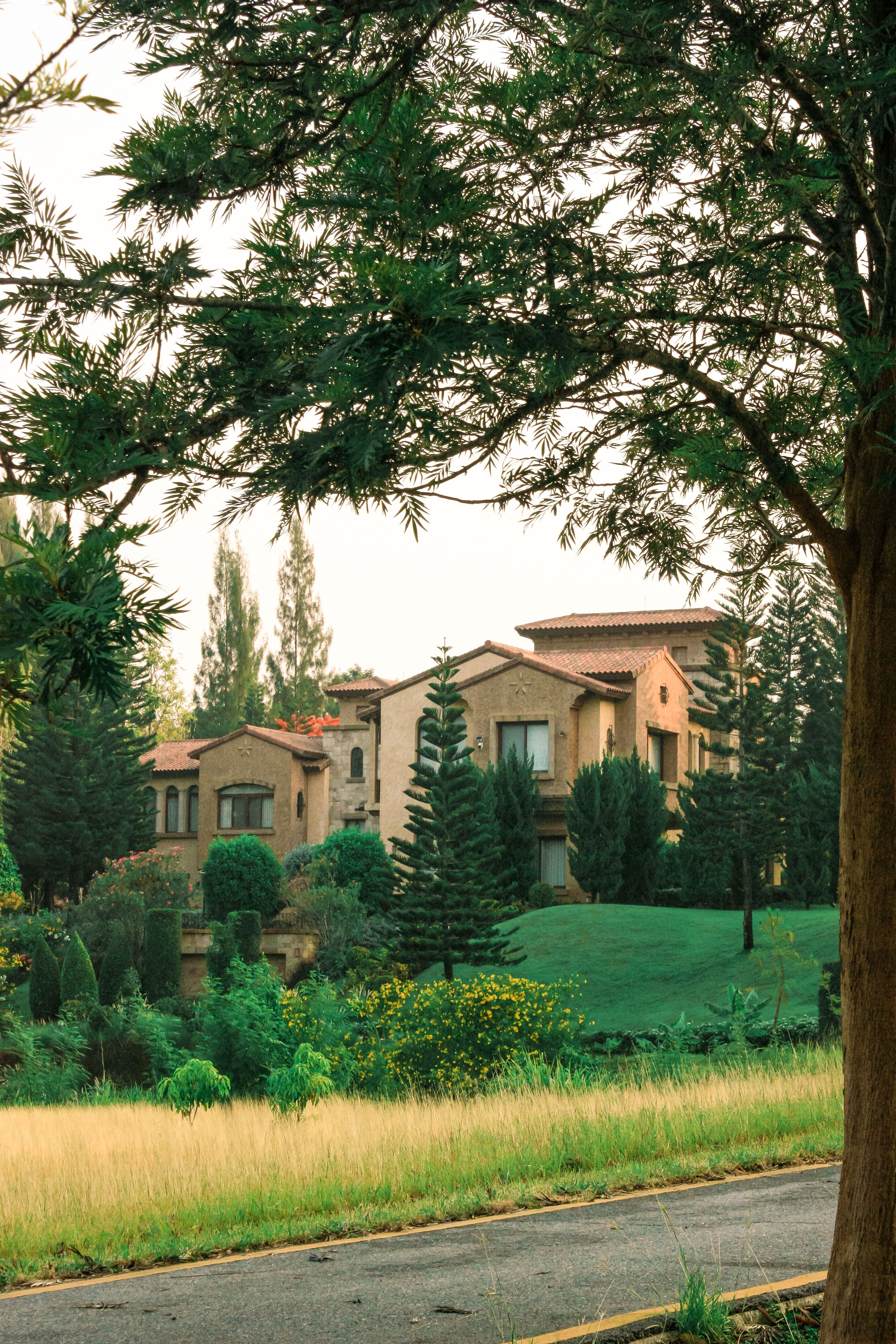 Road in Front of the Villa with a Garden · Free Stock Photo