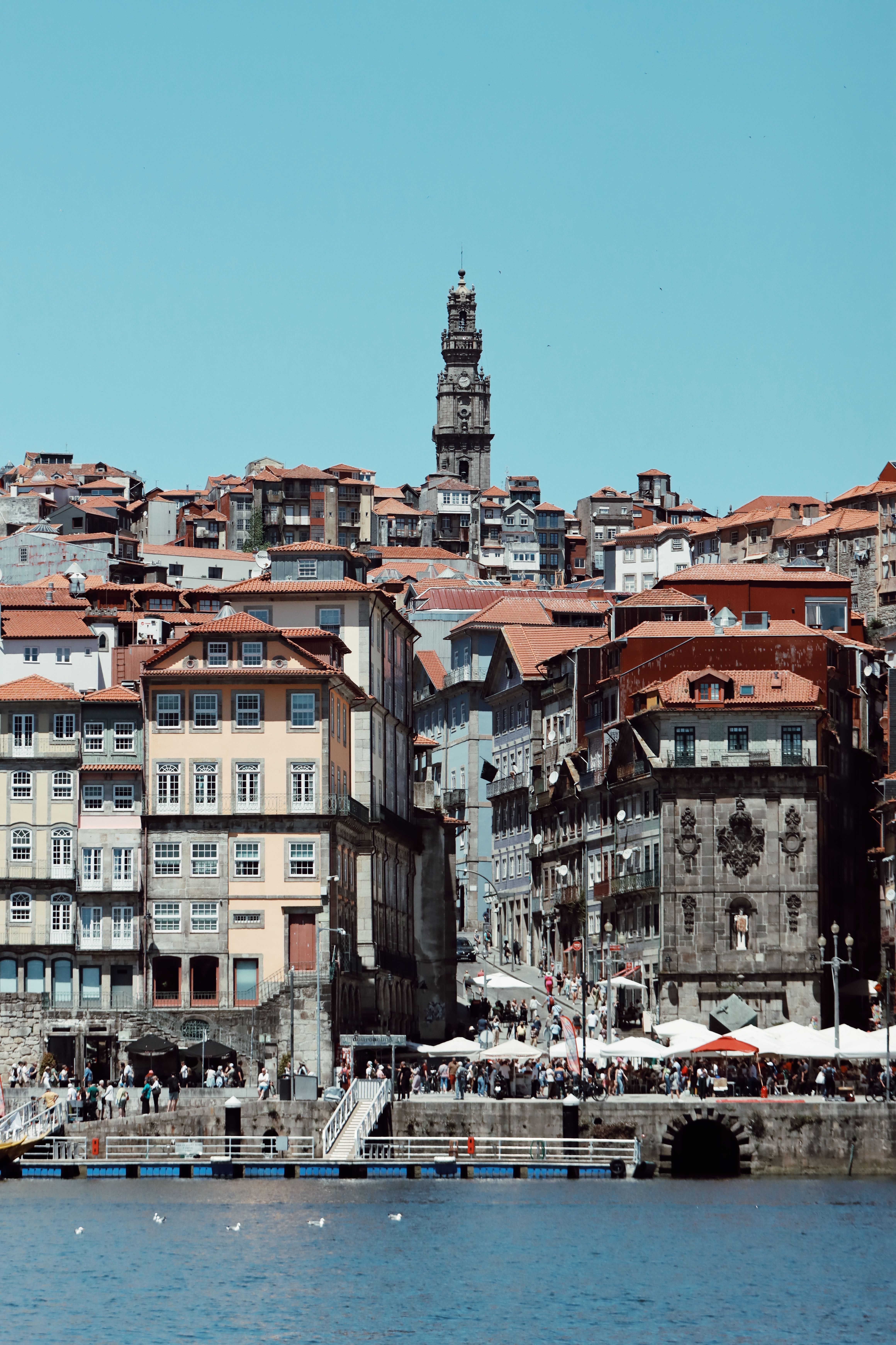 Buildings and the Clerigos Tower Viewed from the Douro River in Porto ...