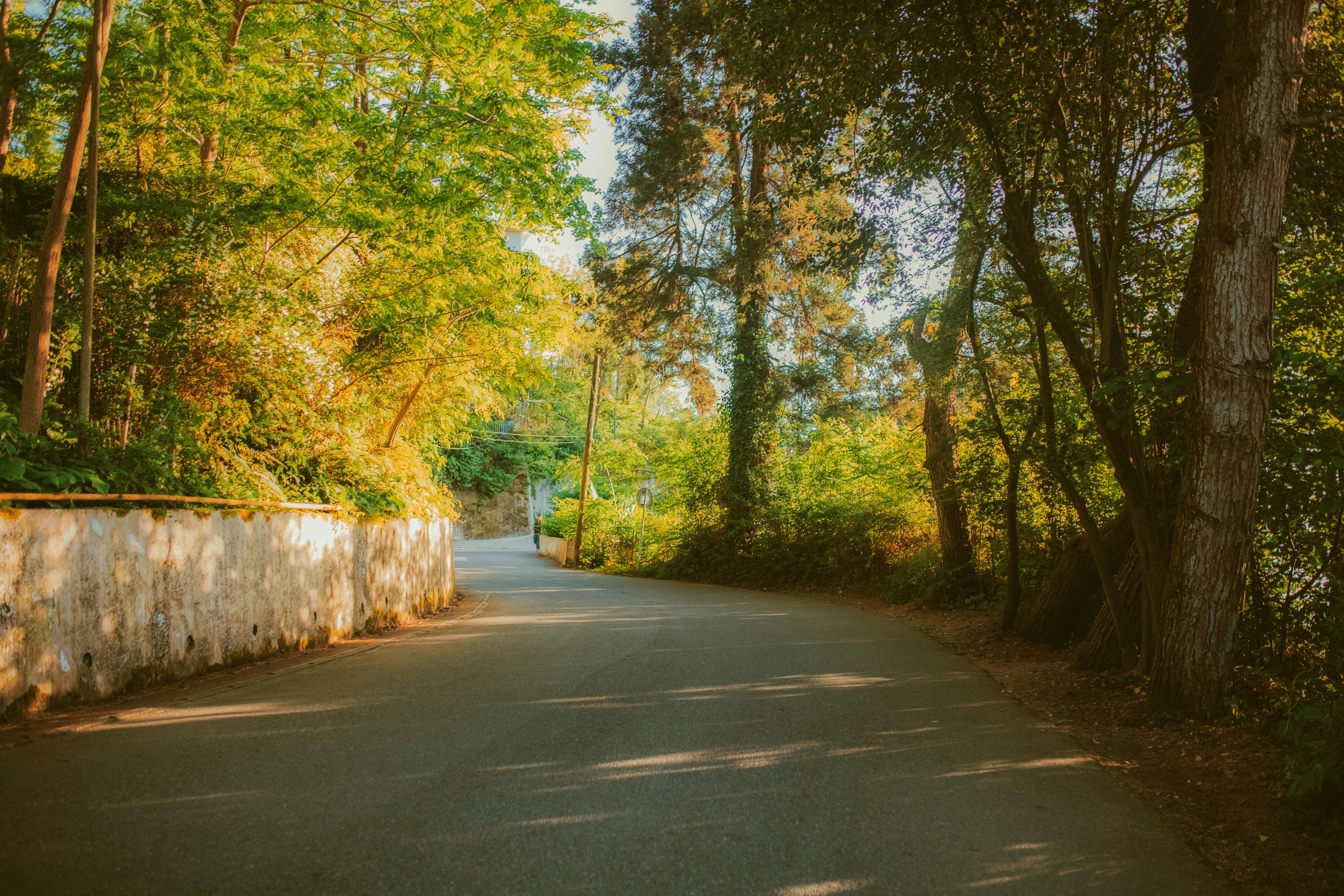 Fall Nature 1024x 576 Photos, Download The BEST Free Fall Nature 1024x ...