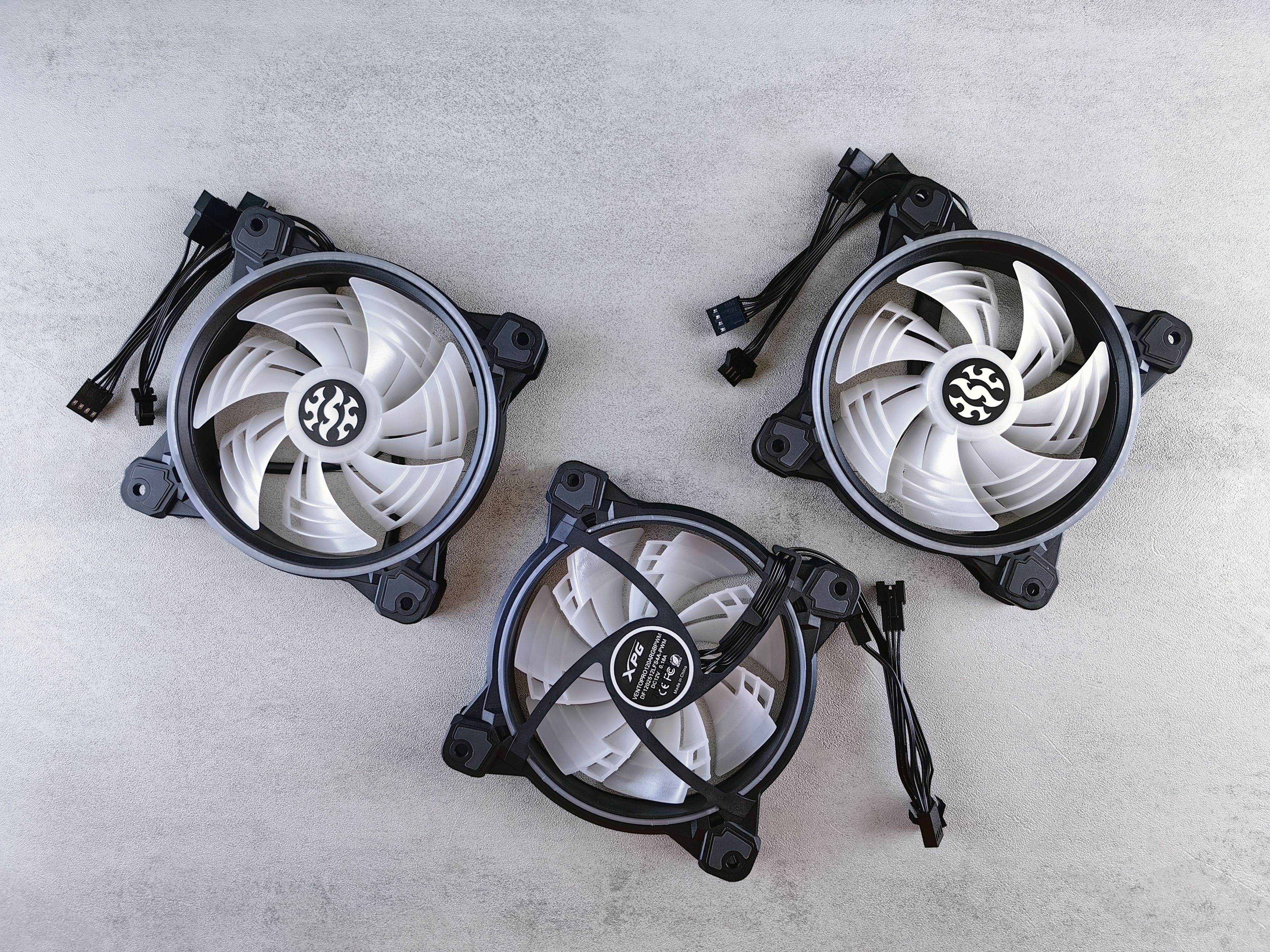 Fans on White Background · Free Stock Photo