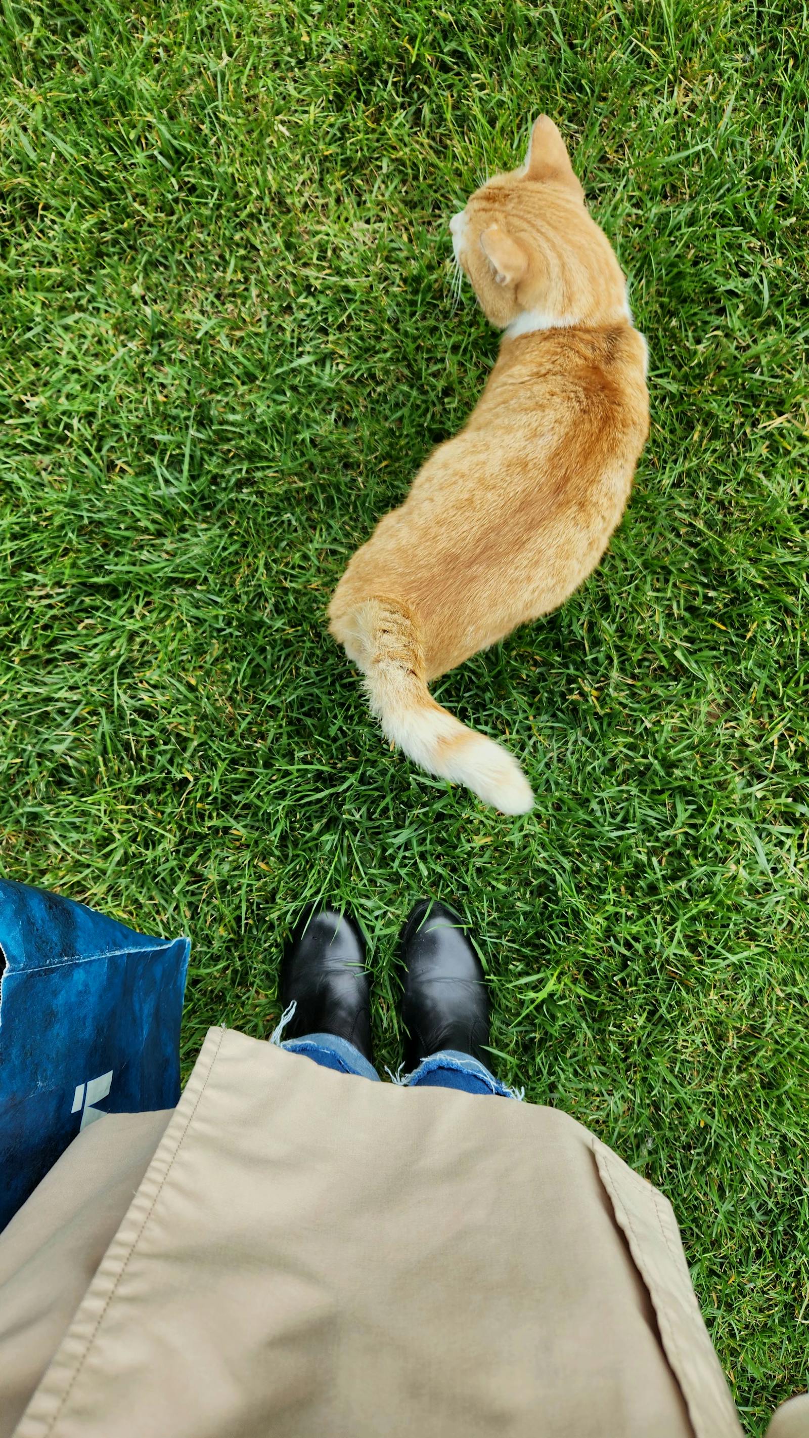 Doja Cat Photos, Download The BEST Free Doja Cat Stock Photos & HD Images