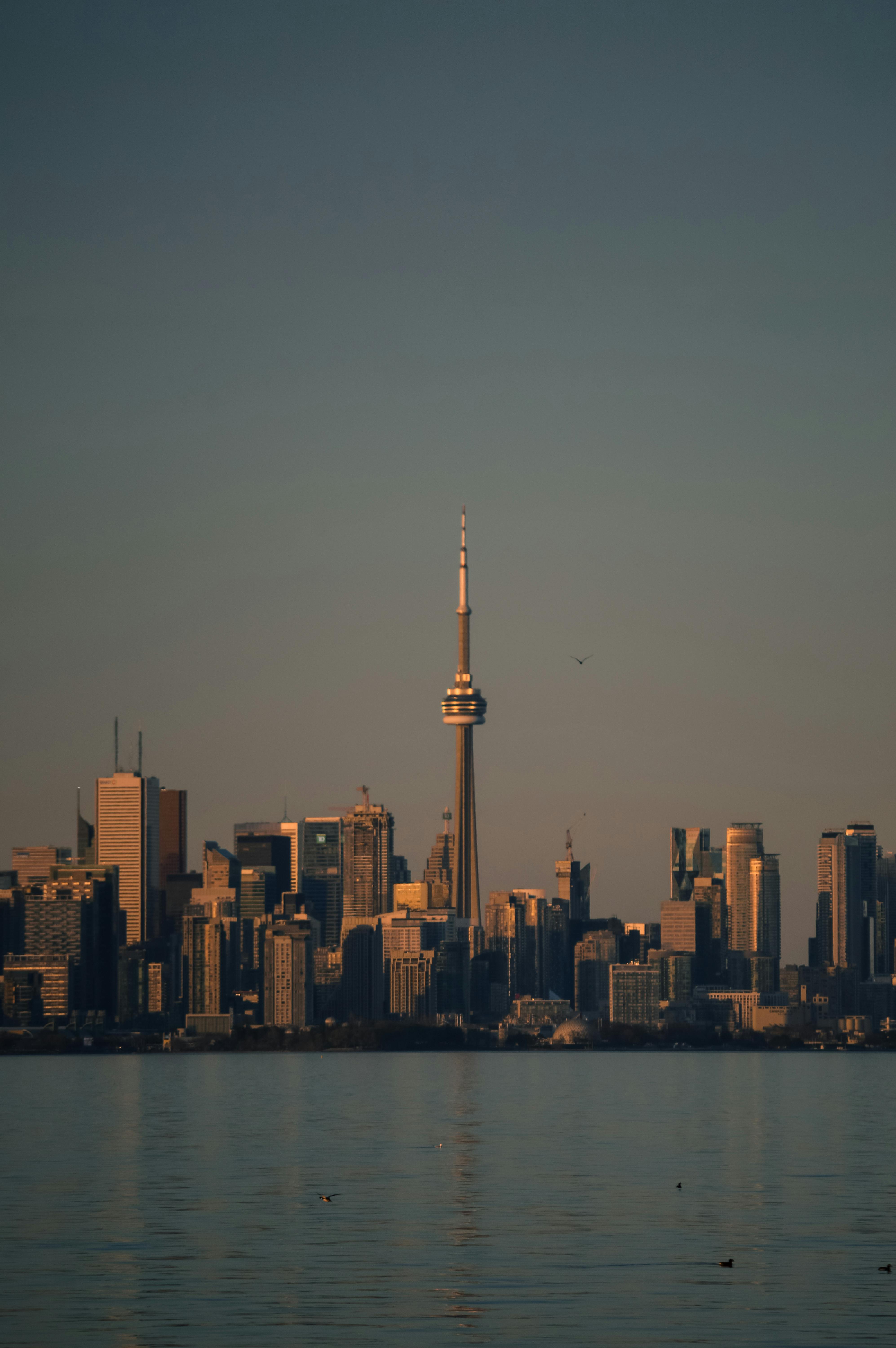 Vertical Shot of the Toronto Skyline · Free Stock Photo