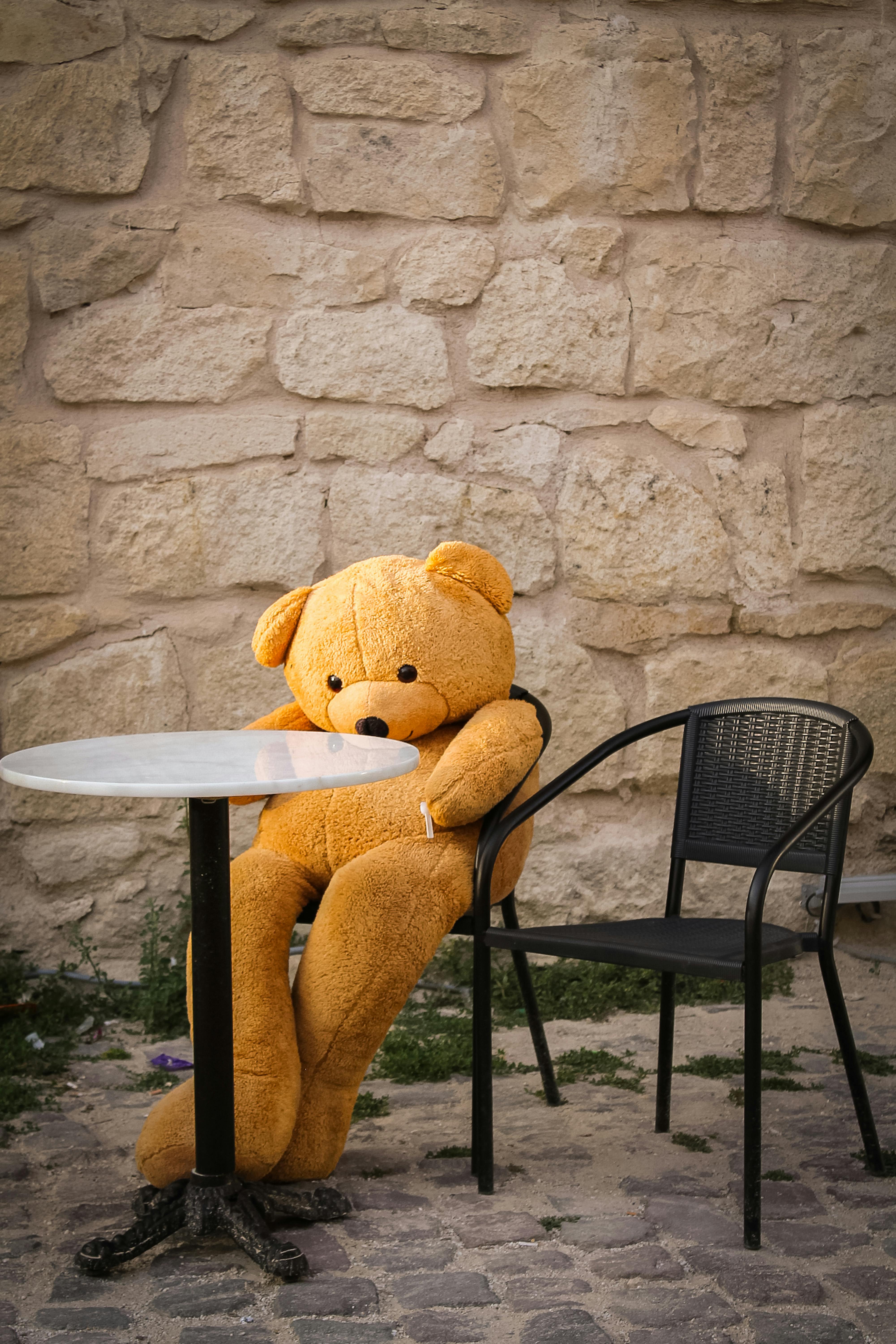 Teddy Bear Sitting by Table · Free Stock Photo