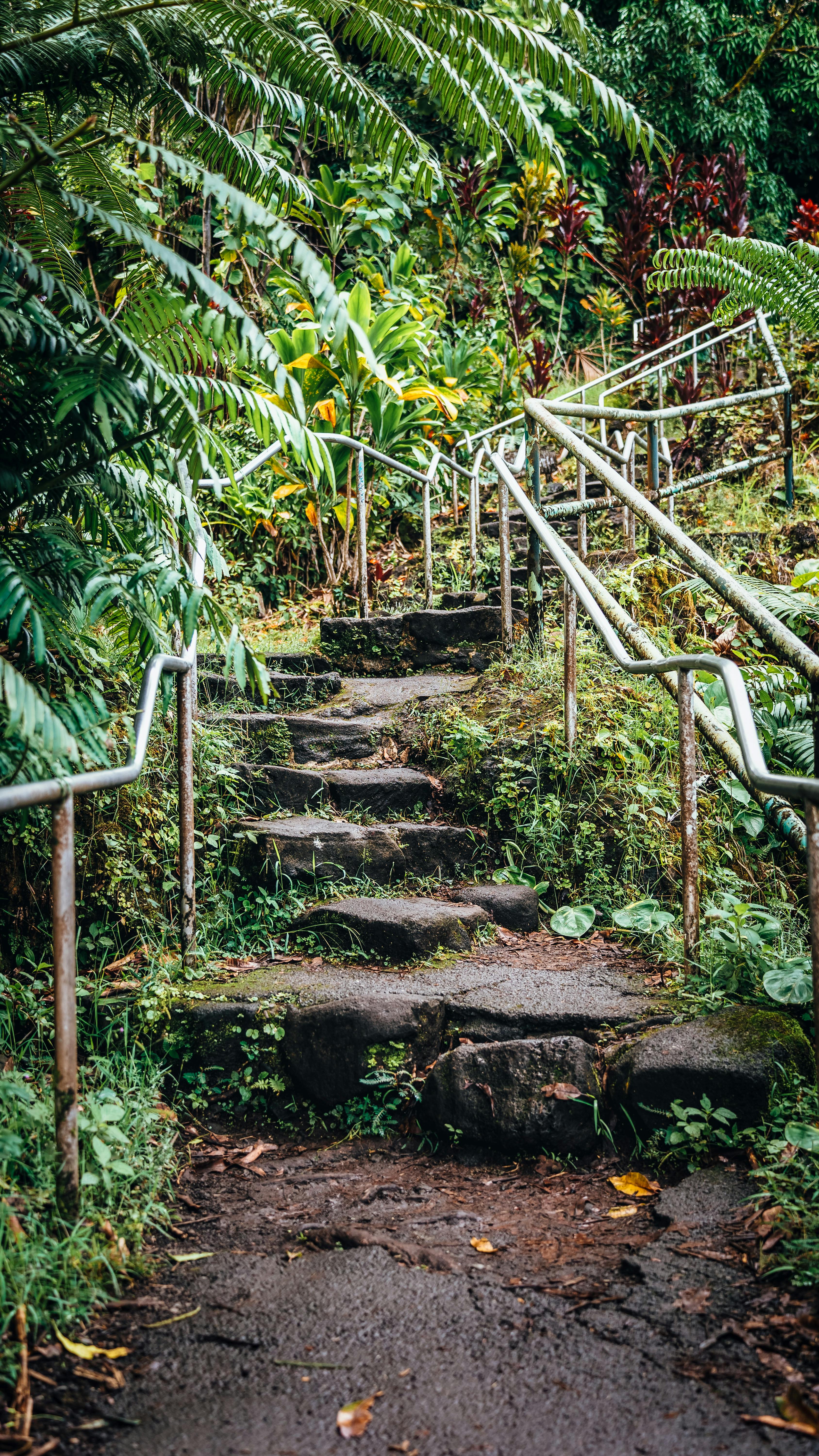 Melbourne Summer Steps Photos, Download The BEST Free Melbourne Summer ...