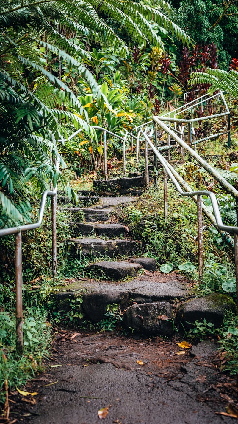 Drawing Of Steps Photos, Download The BEST Free Drawing Of Steps Stock ...