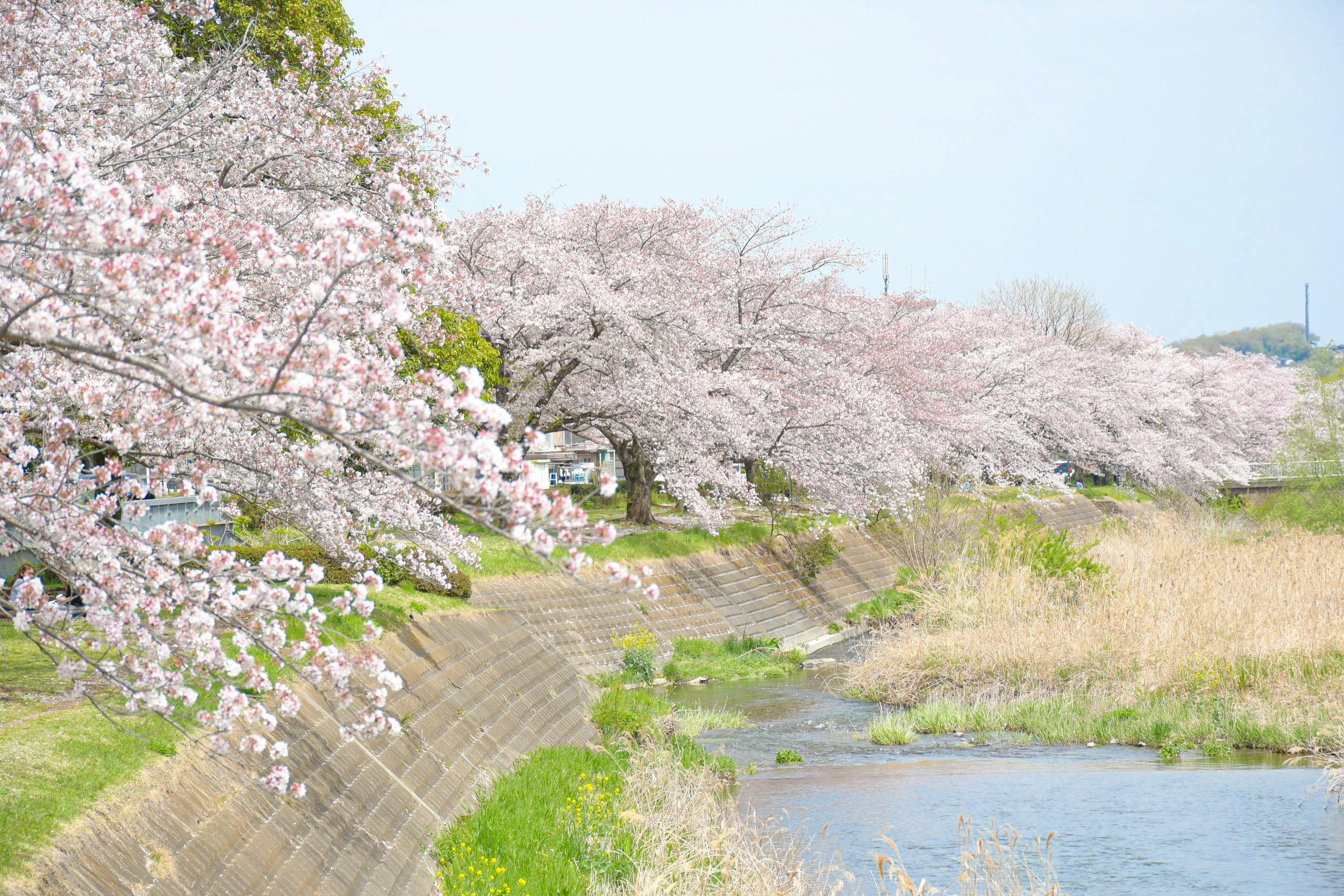 Kento Ikeda - Photography