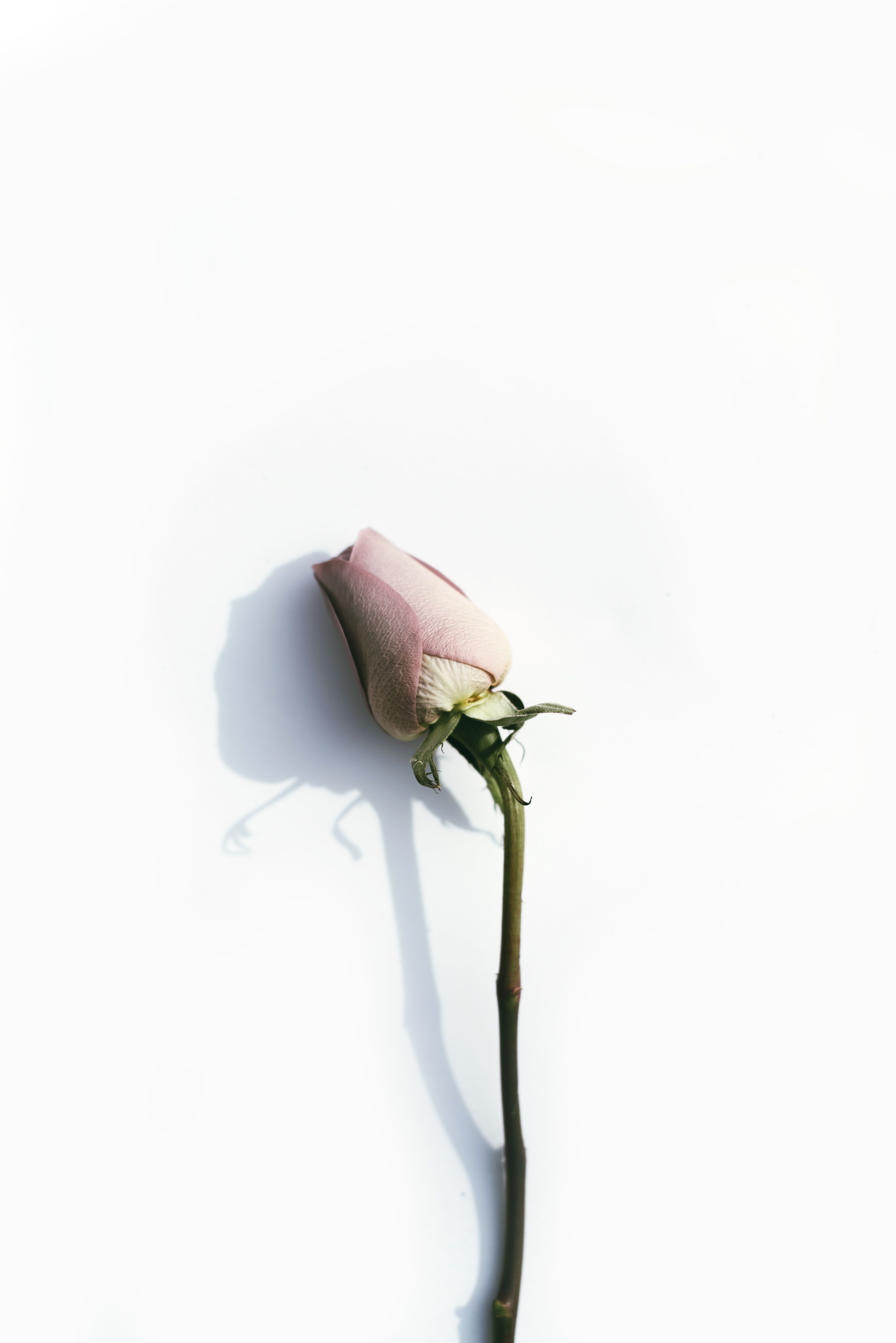 Analog Wallpaper Pc Photos, Download The BEST Free Analog Wallpaper Pc ...