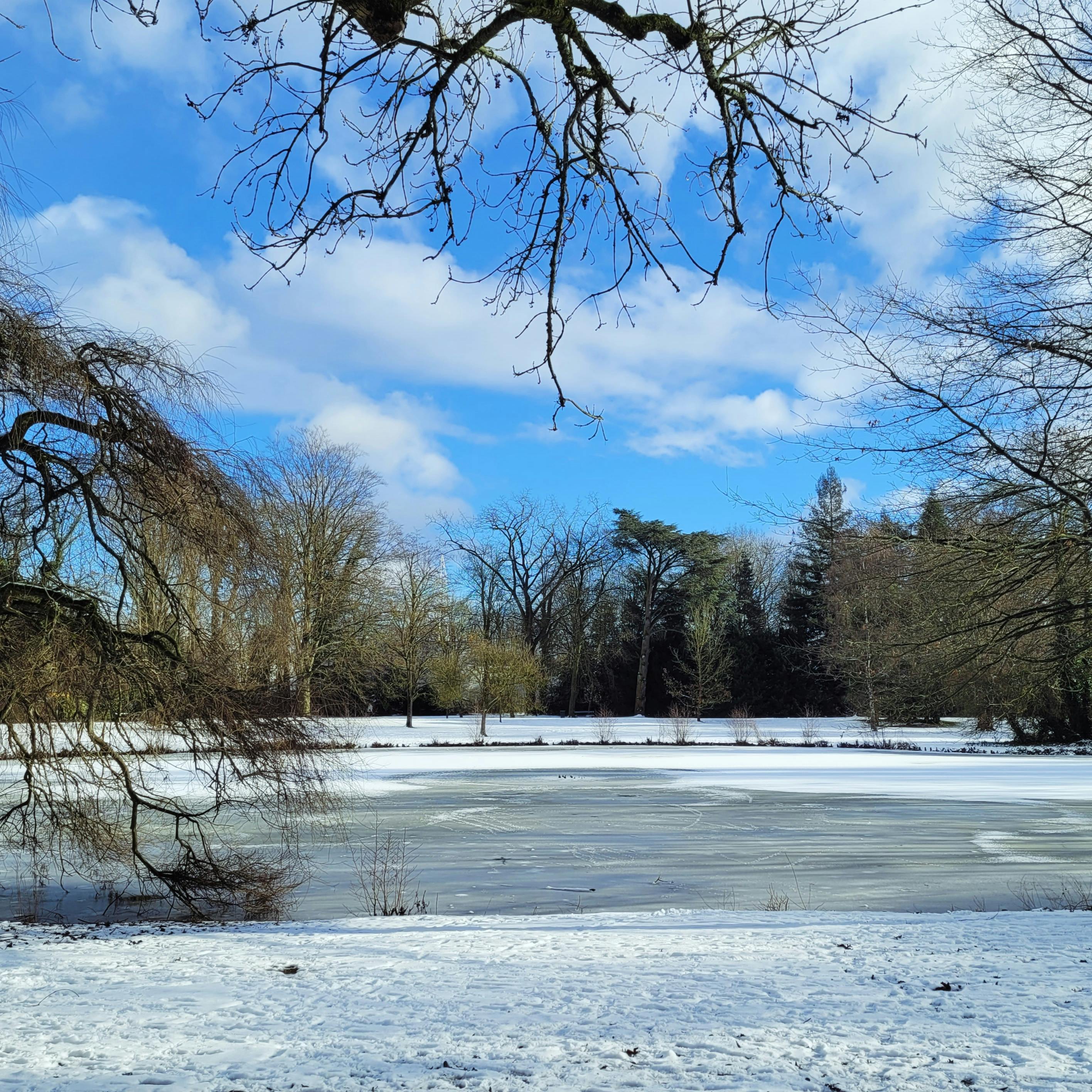 A Frozen Pond in a Park in Winter · Free Stock Photo