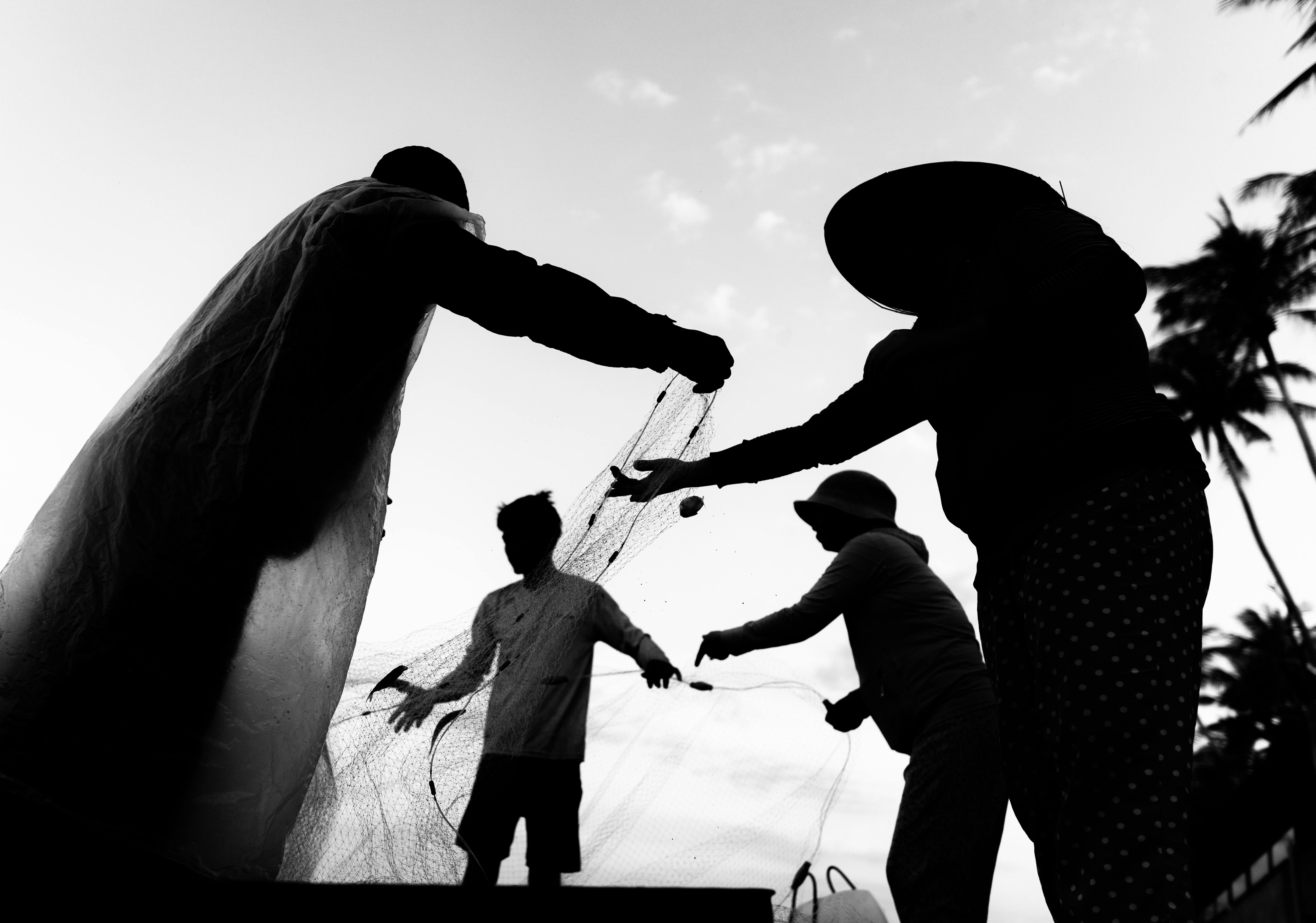 Silhouette of people holding hands and throwing fish · Free Stock Photo