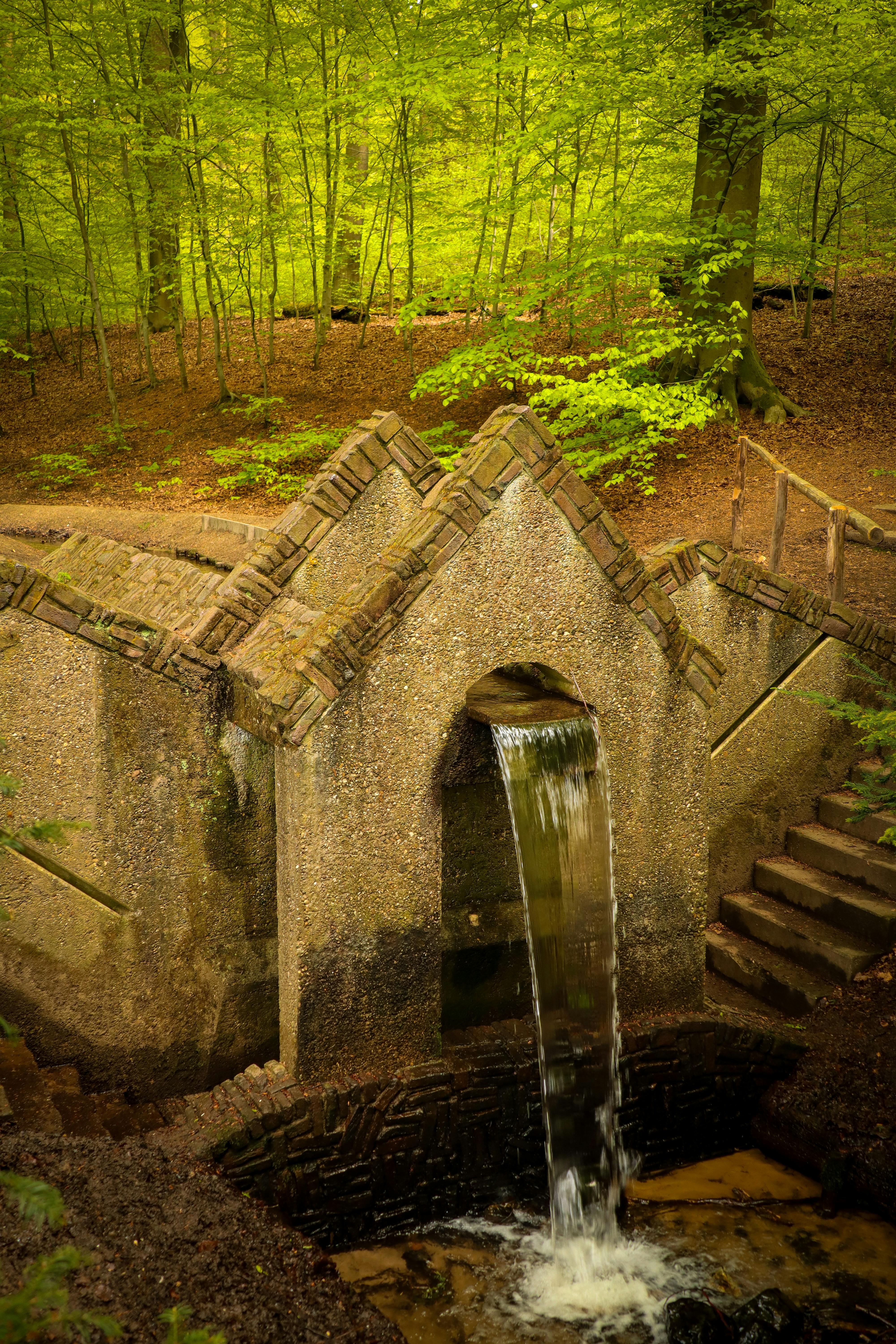 Well in Forest · Free Stock Photo