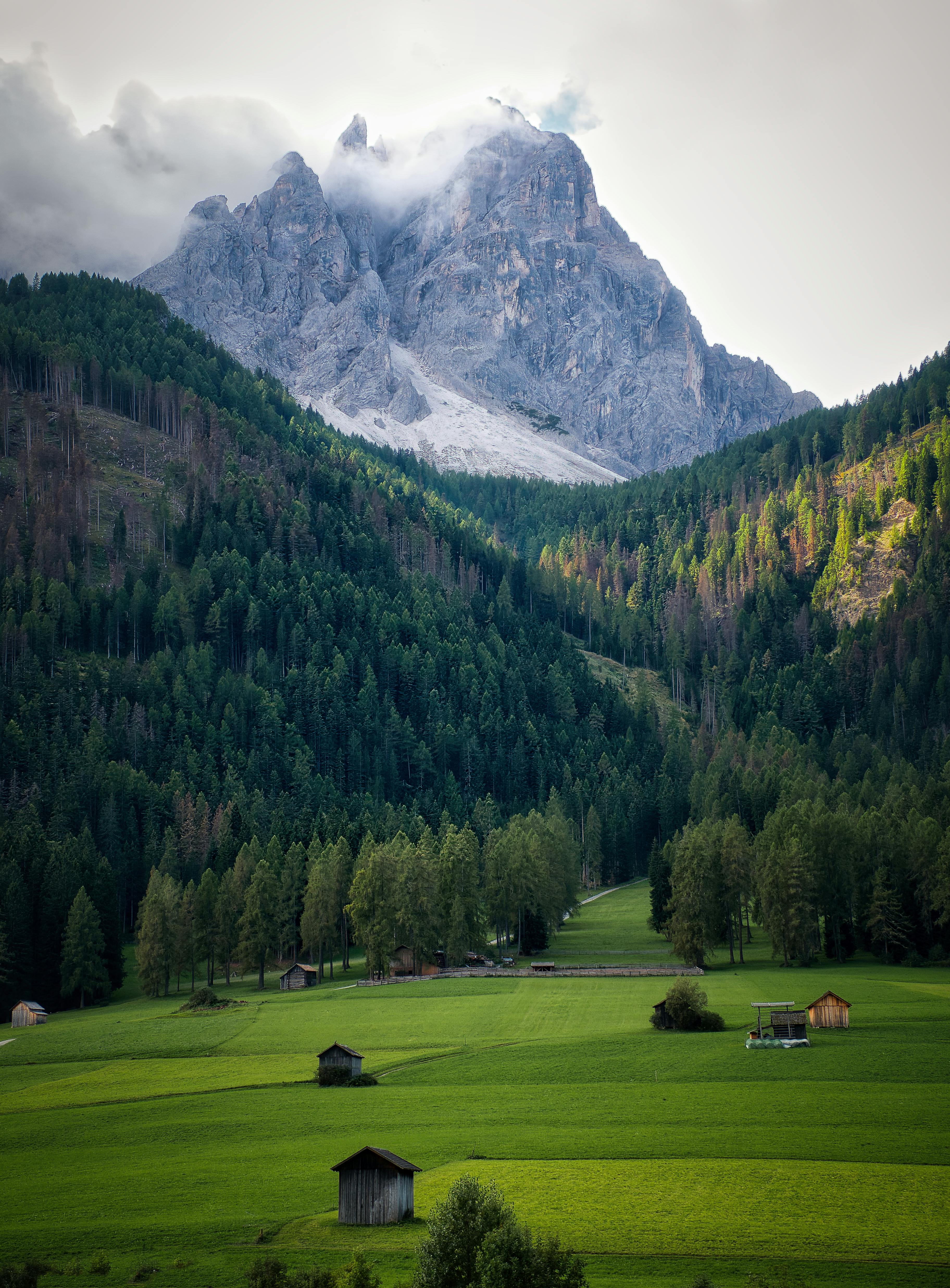 Foto gratuita di acqua, alberi, alberi decidui, alberi senza foglie ...