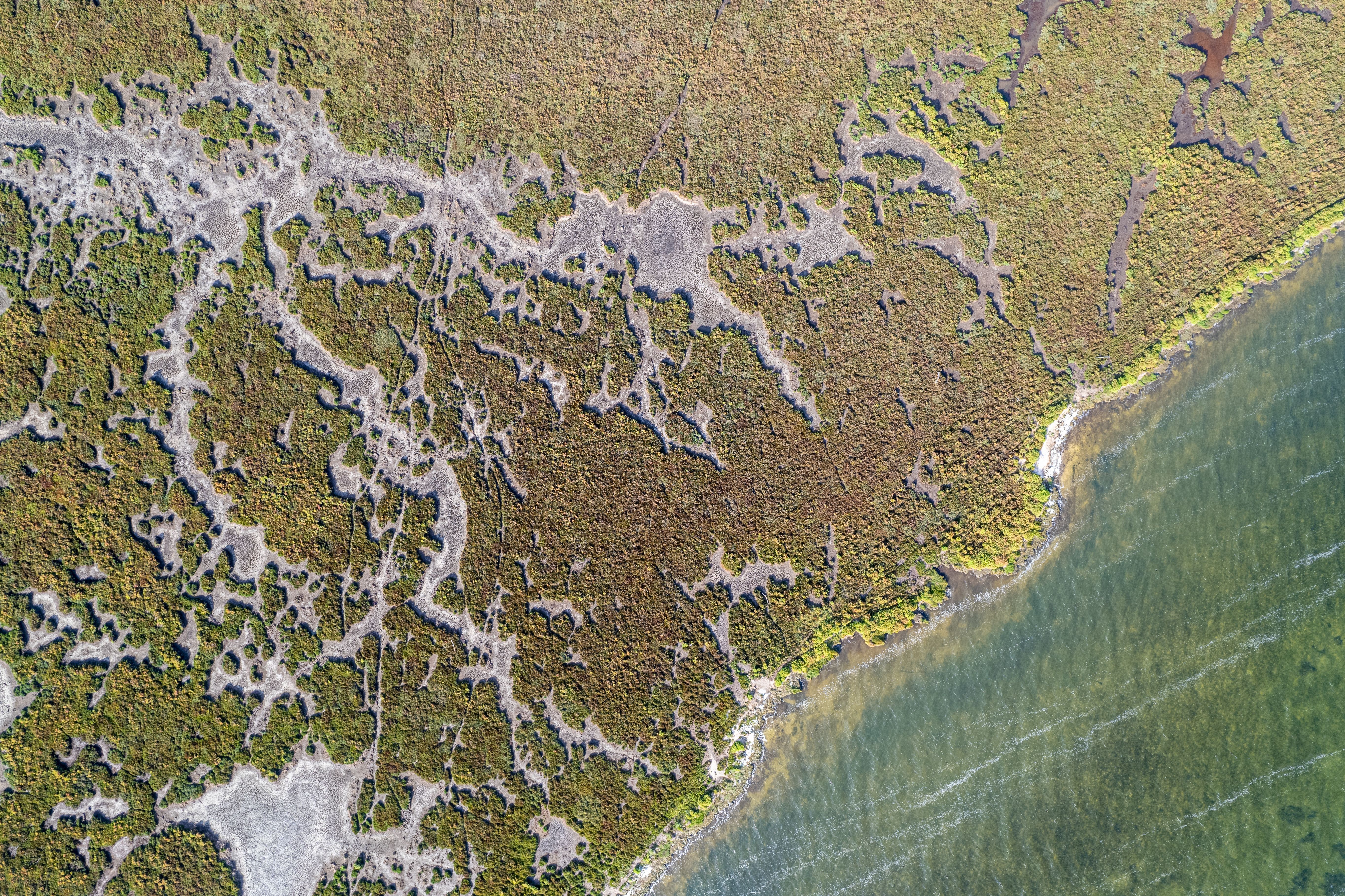 Top View of a Land by the Sea · Free Stock Photo