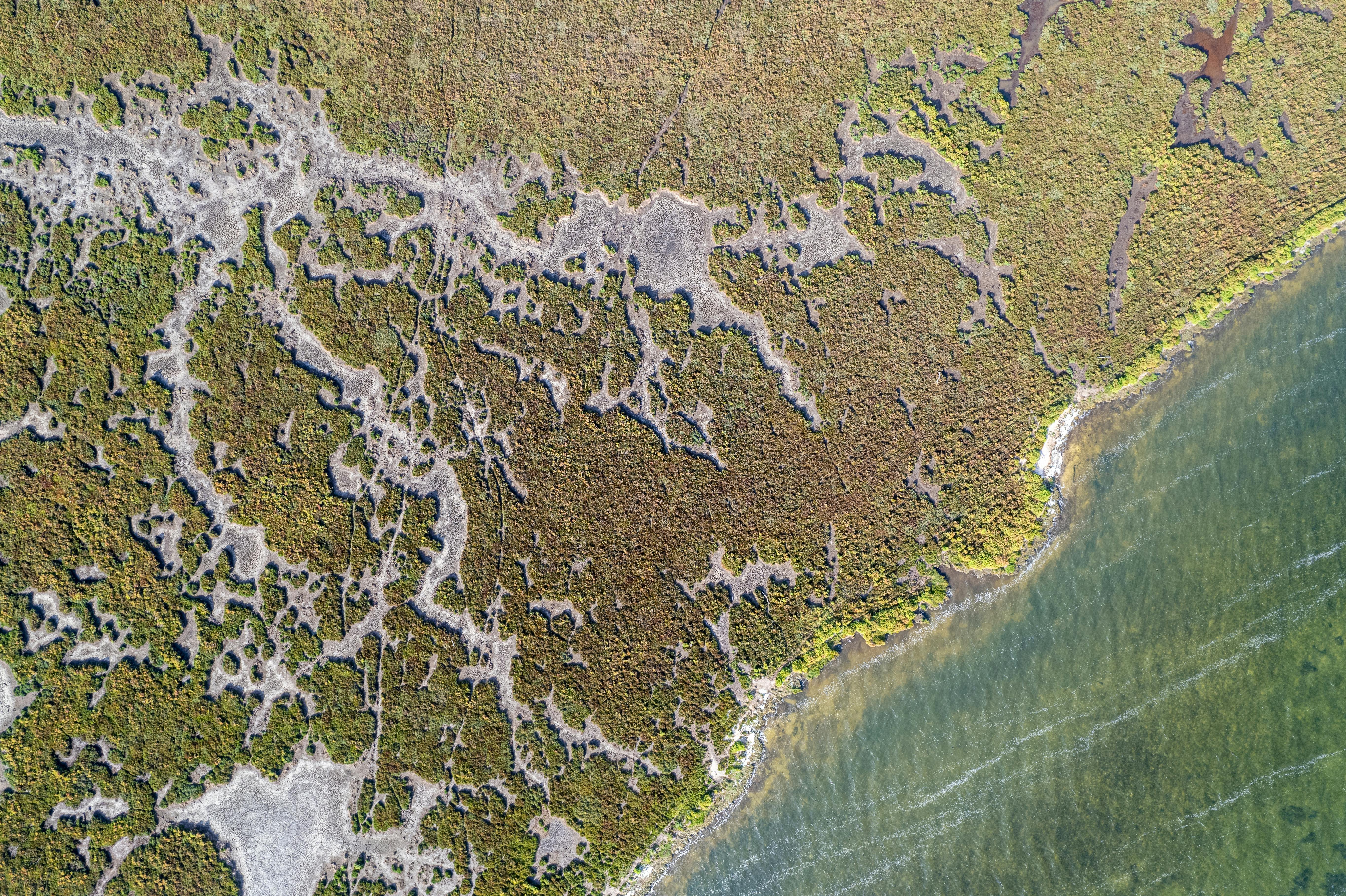 Filipino Land Photos, Download The BEST Free Filipino Land Stock Photos ...