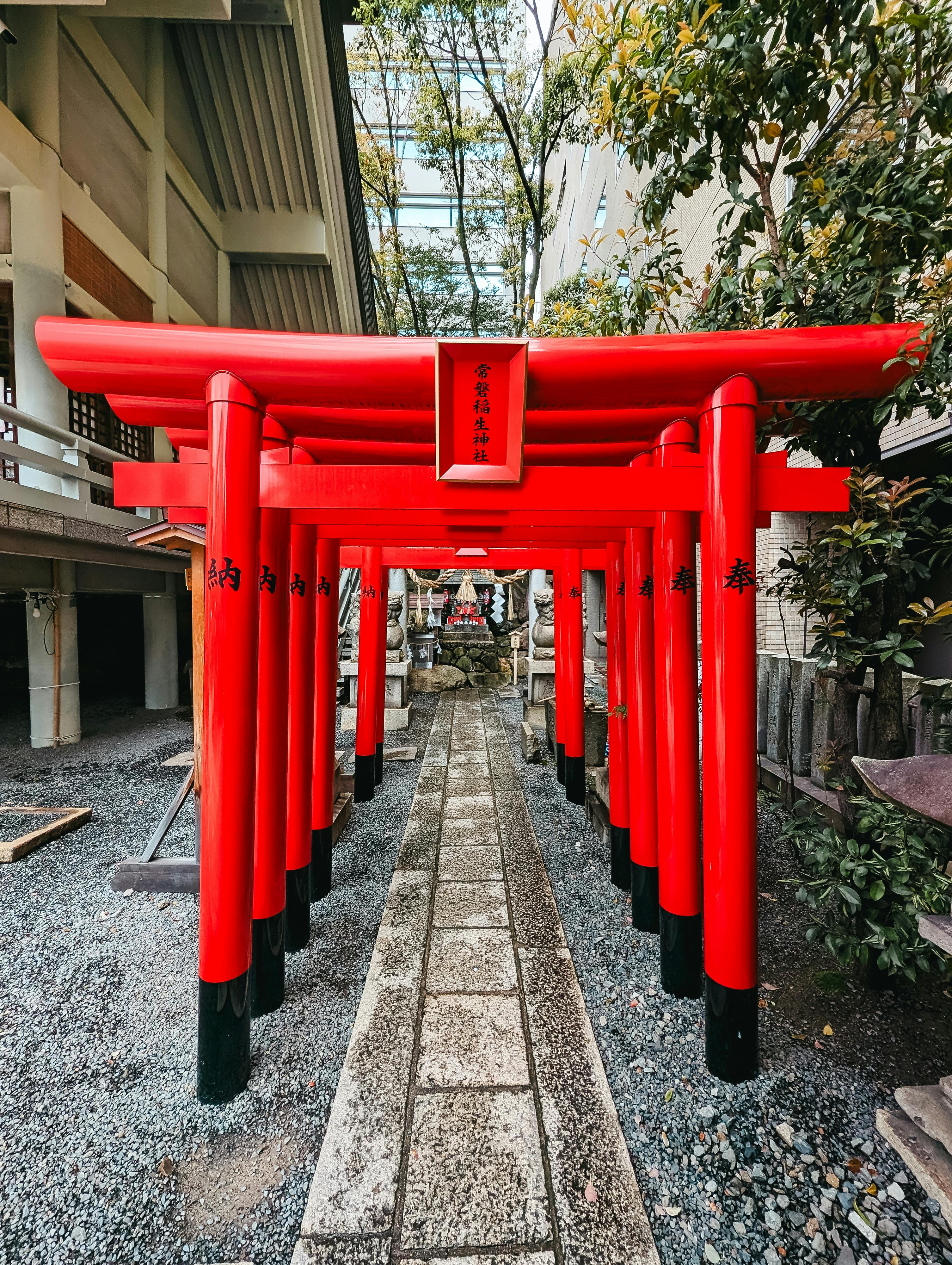 Construction of Red Stakes in a Street · Free Stock Photo