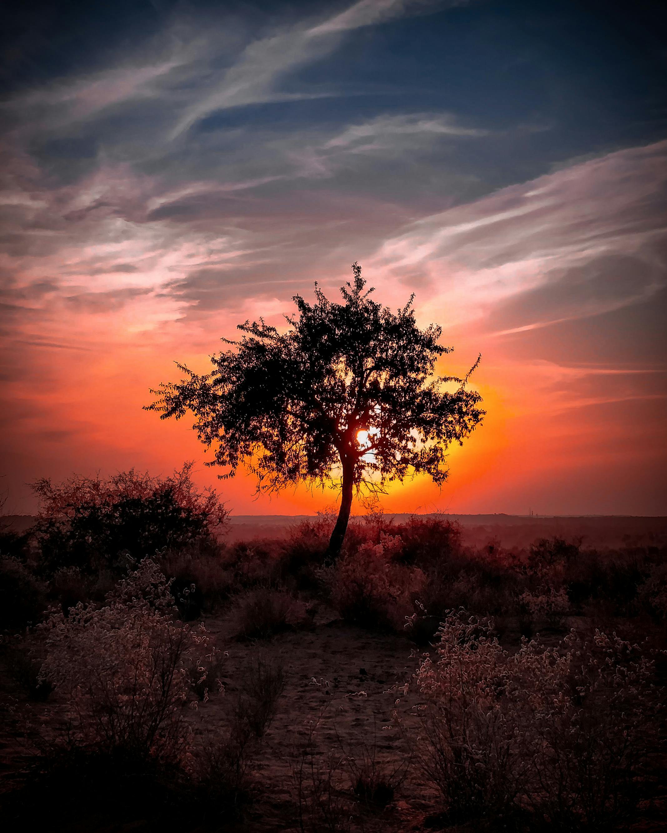 Bernard Thomas - Fotografía