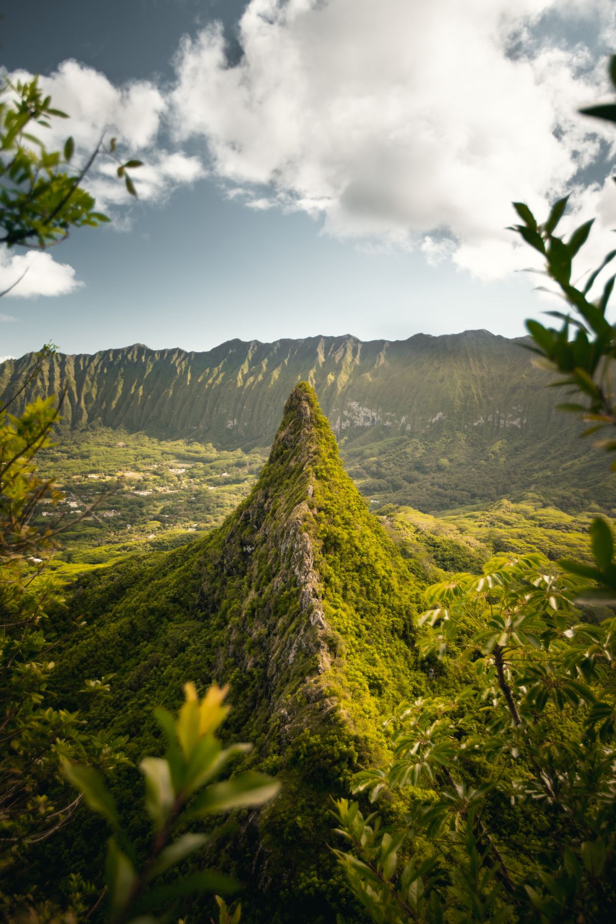 3.000+ Hawaii Bilder und Fotos · Kostenlos Downloaden · Pexels Stock-Fotos